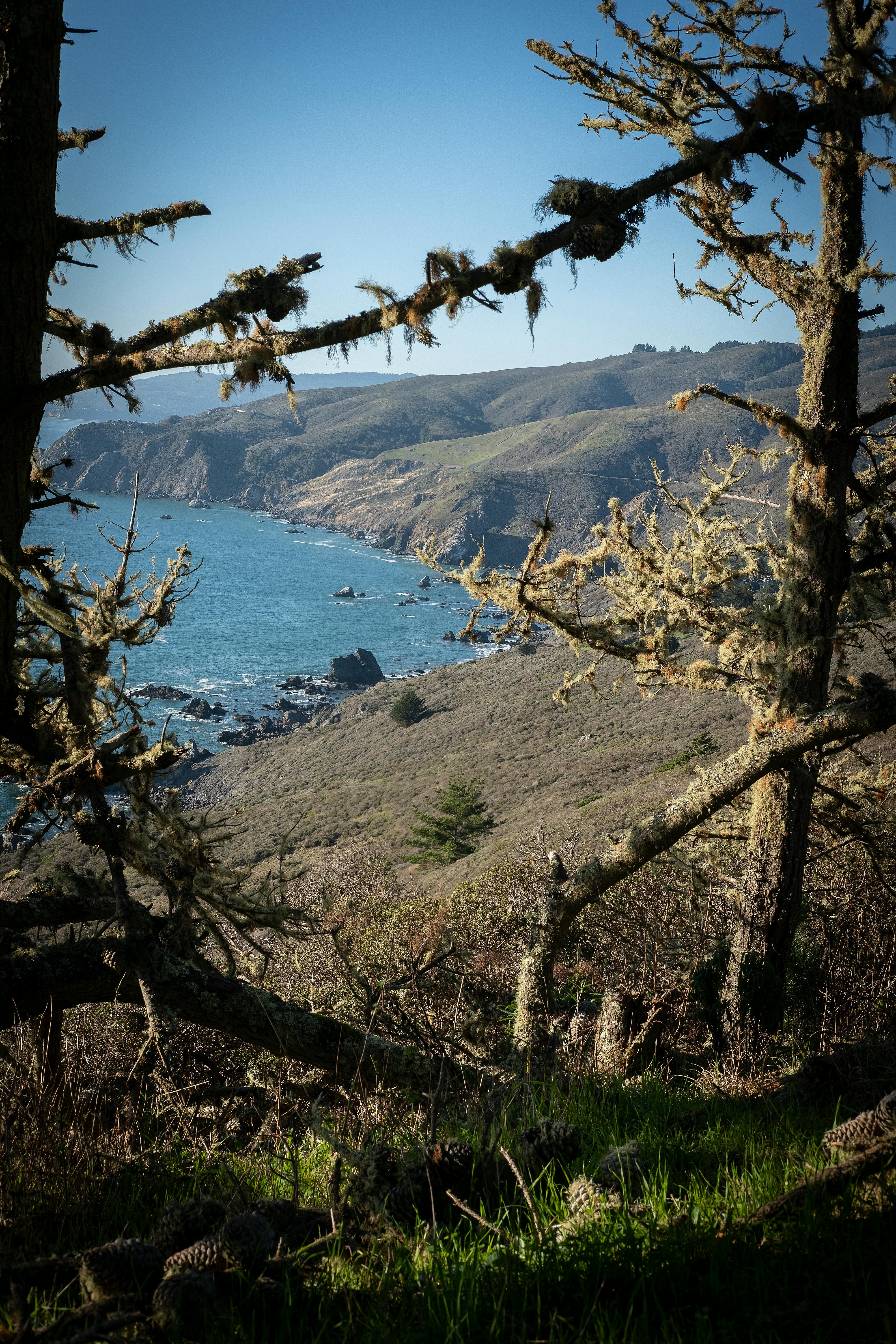 Photo of a Seacoast · Free Stock Photo