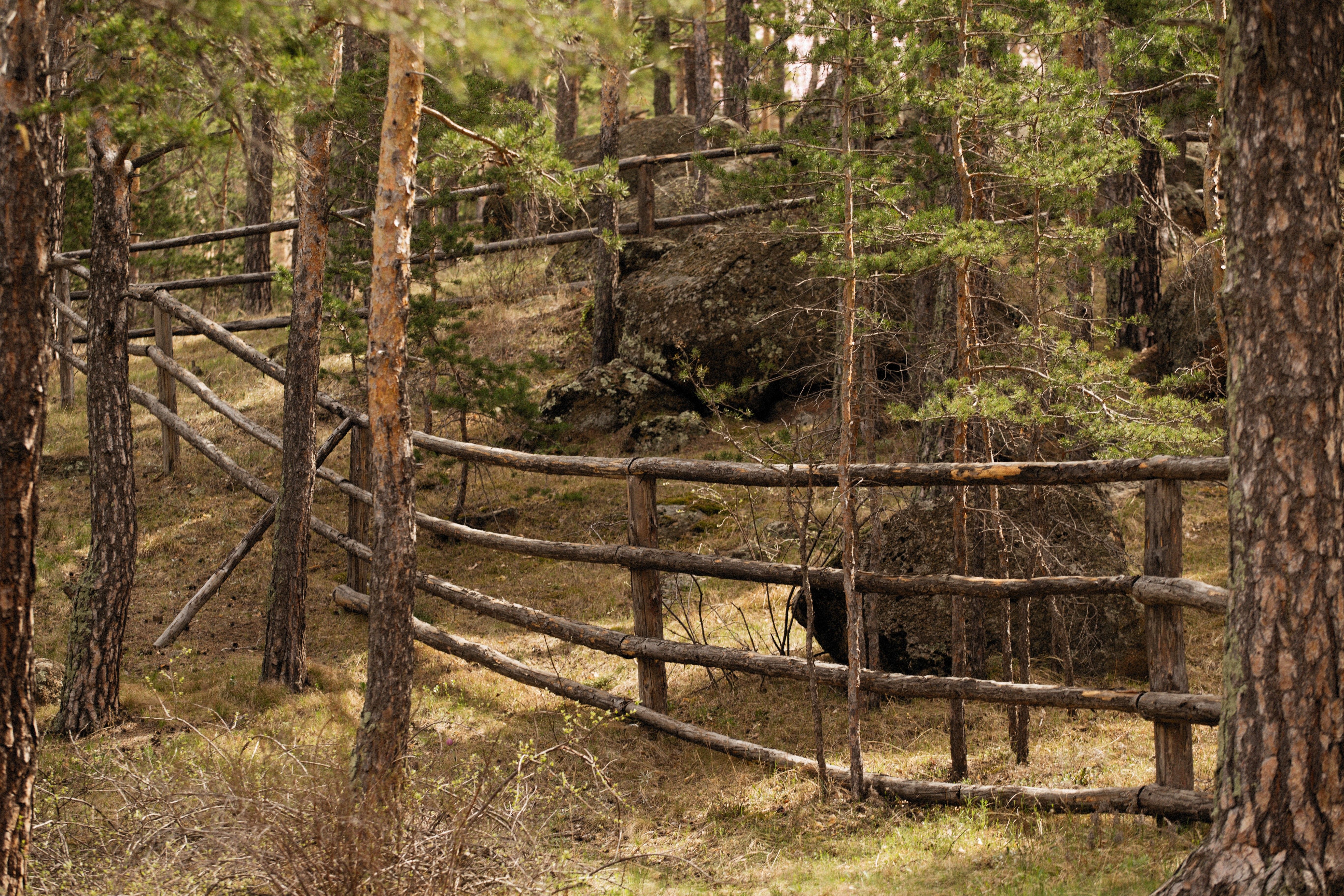 Wooden Fence in a Forest · Free Stock Photo