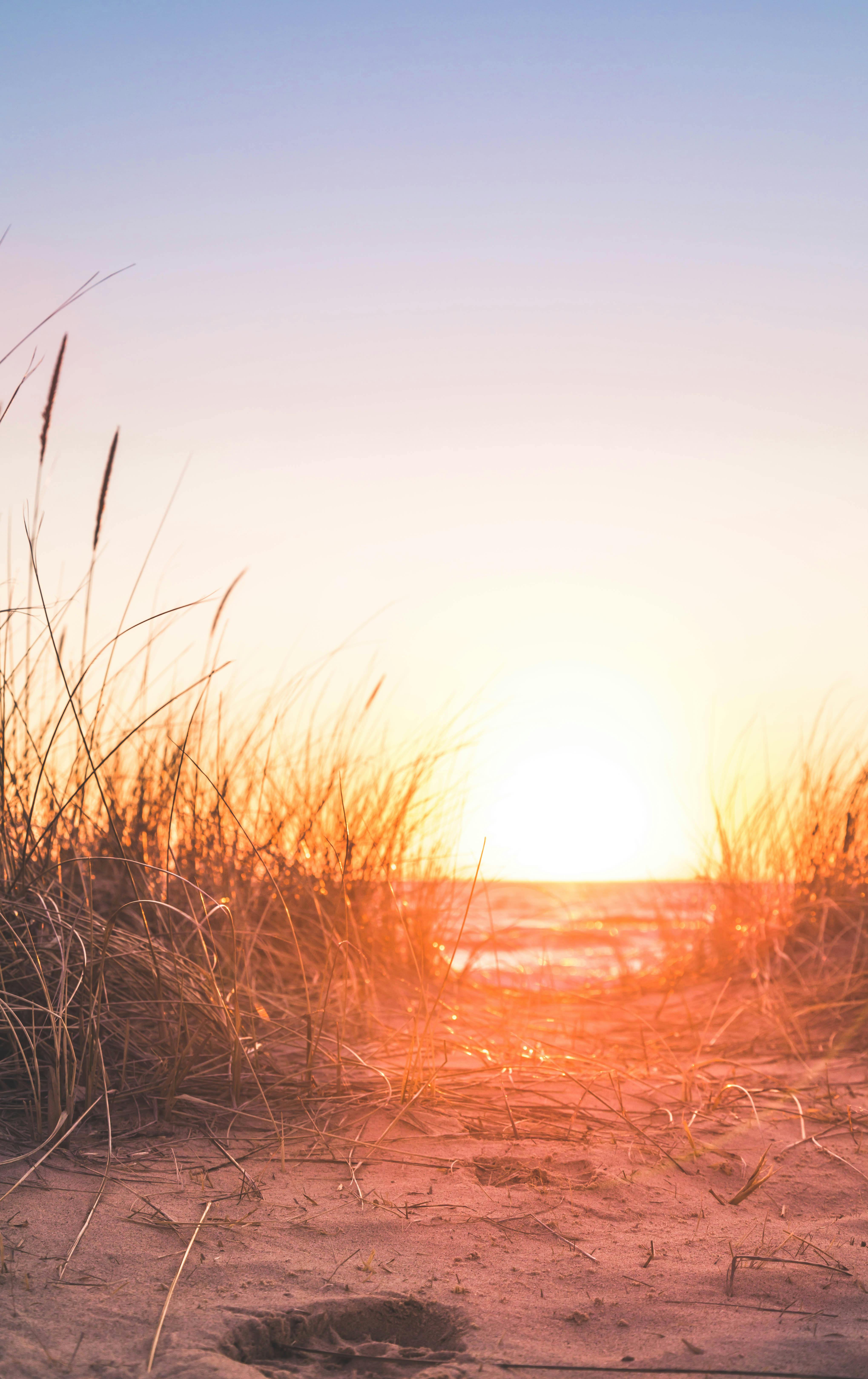 Beach Fall Photos, Download The BEST Free Beach Fall Stock Photos & HD ...