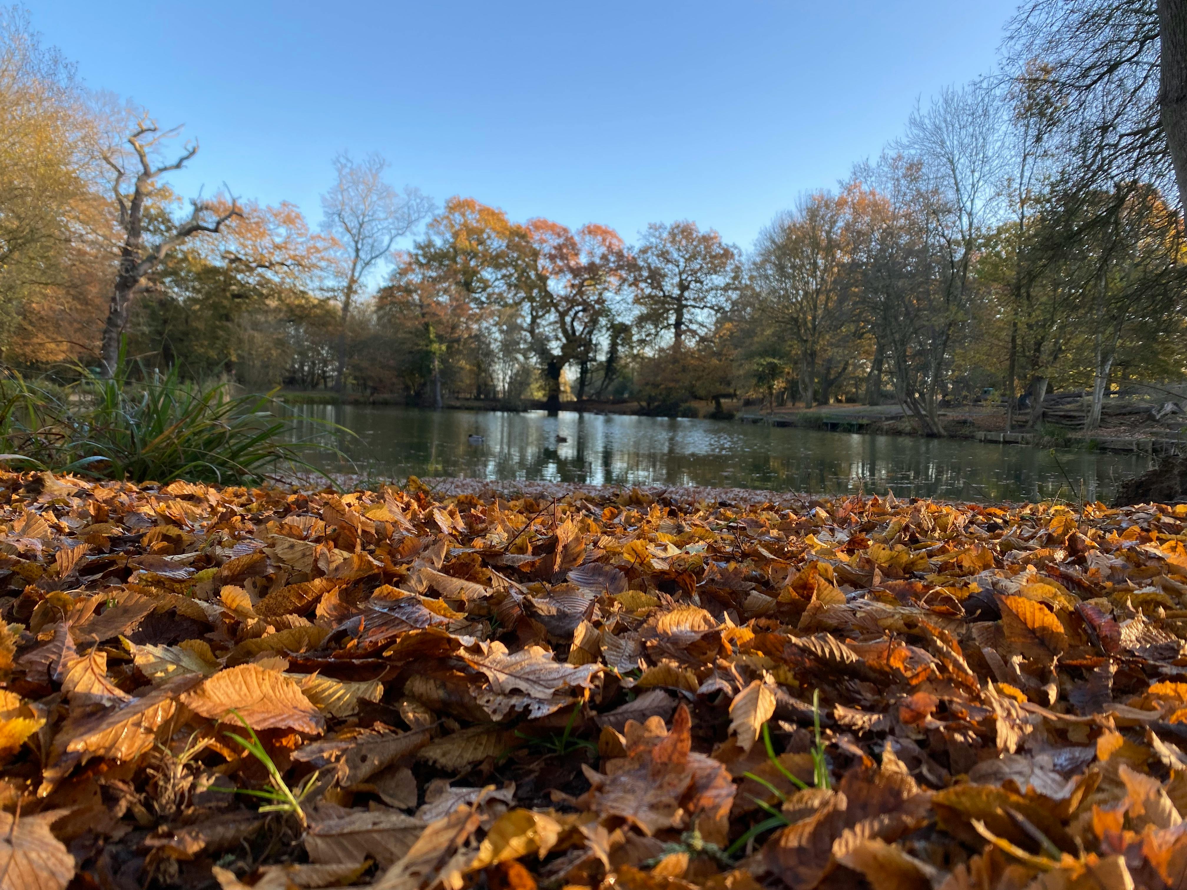 Ileana Bondor - Photography