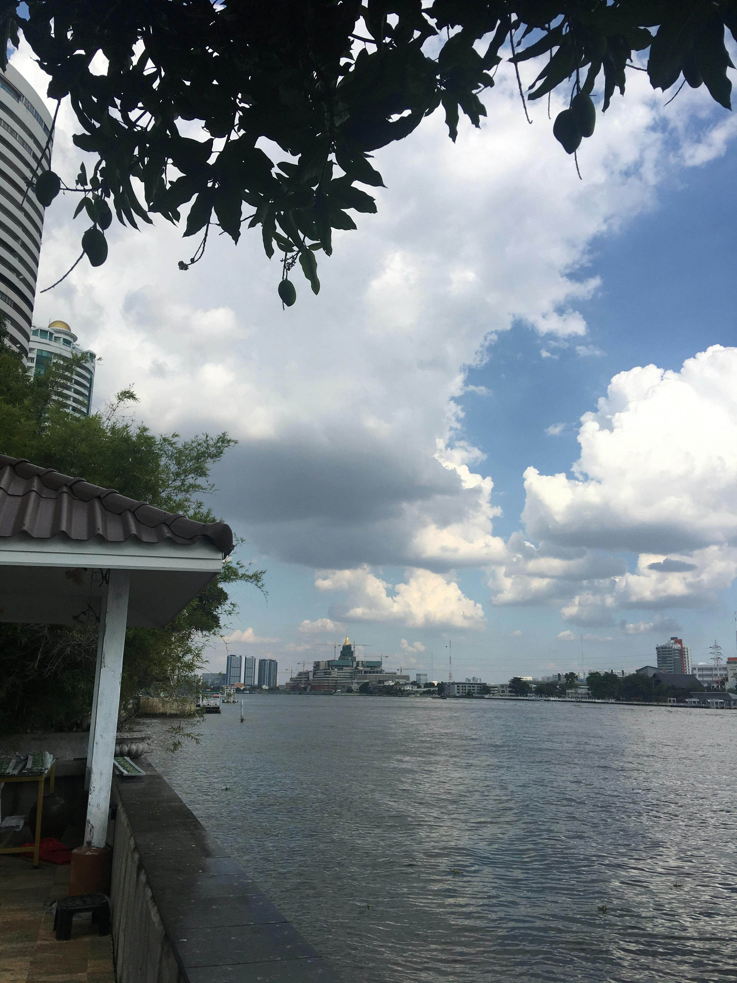 ROCH CHINDAR-IN - 사진