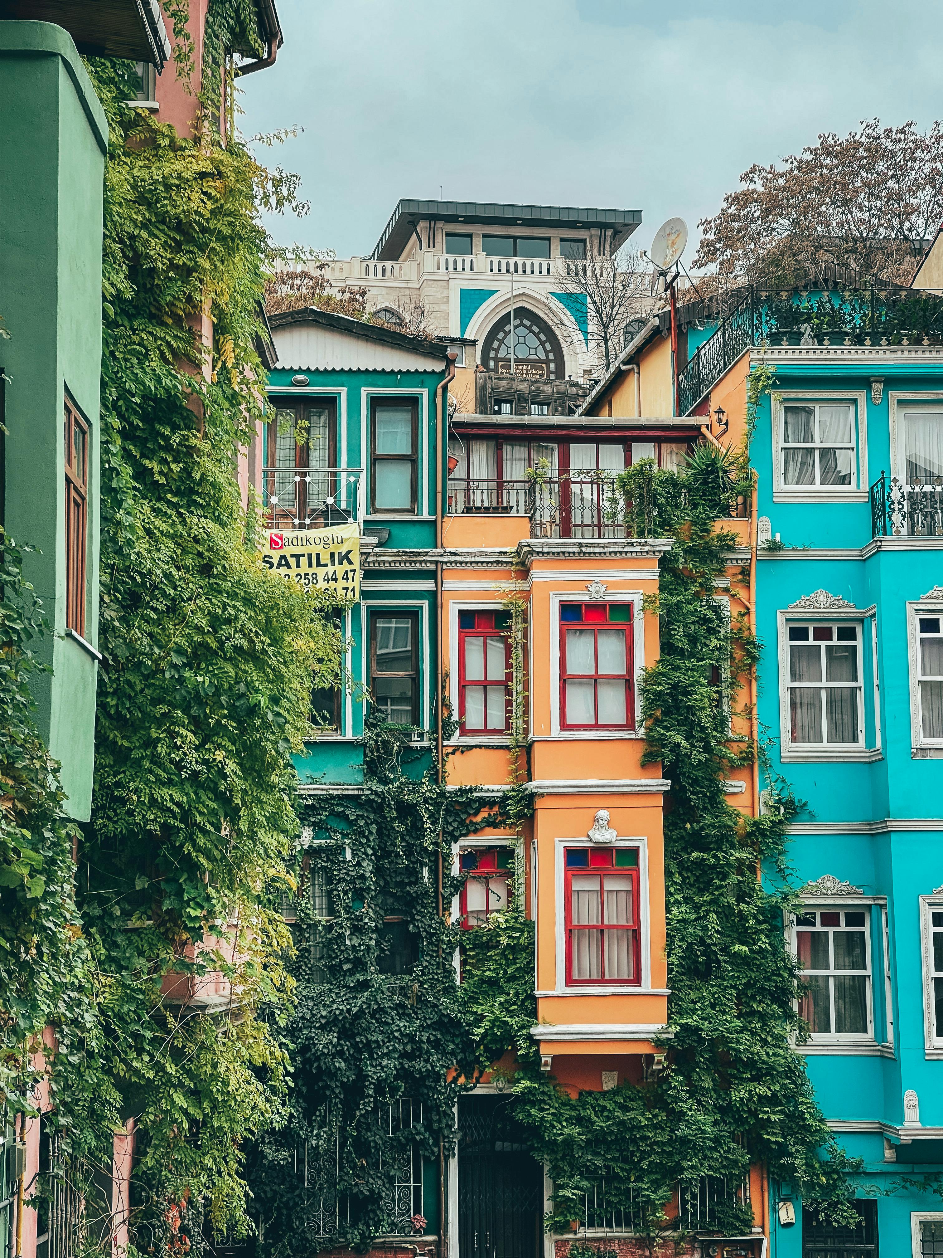 Dangling Vines Photos, Download The BEST Free Dangling Vines Stock ...