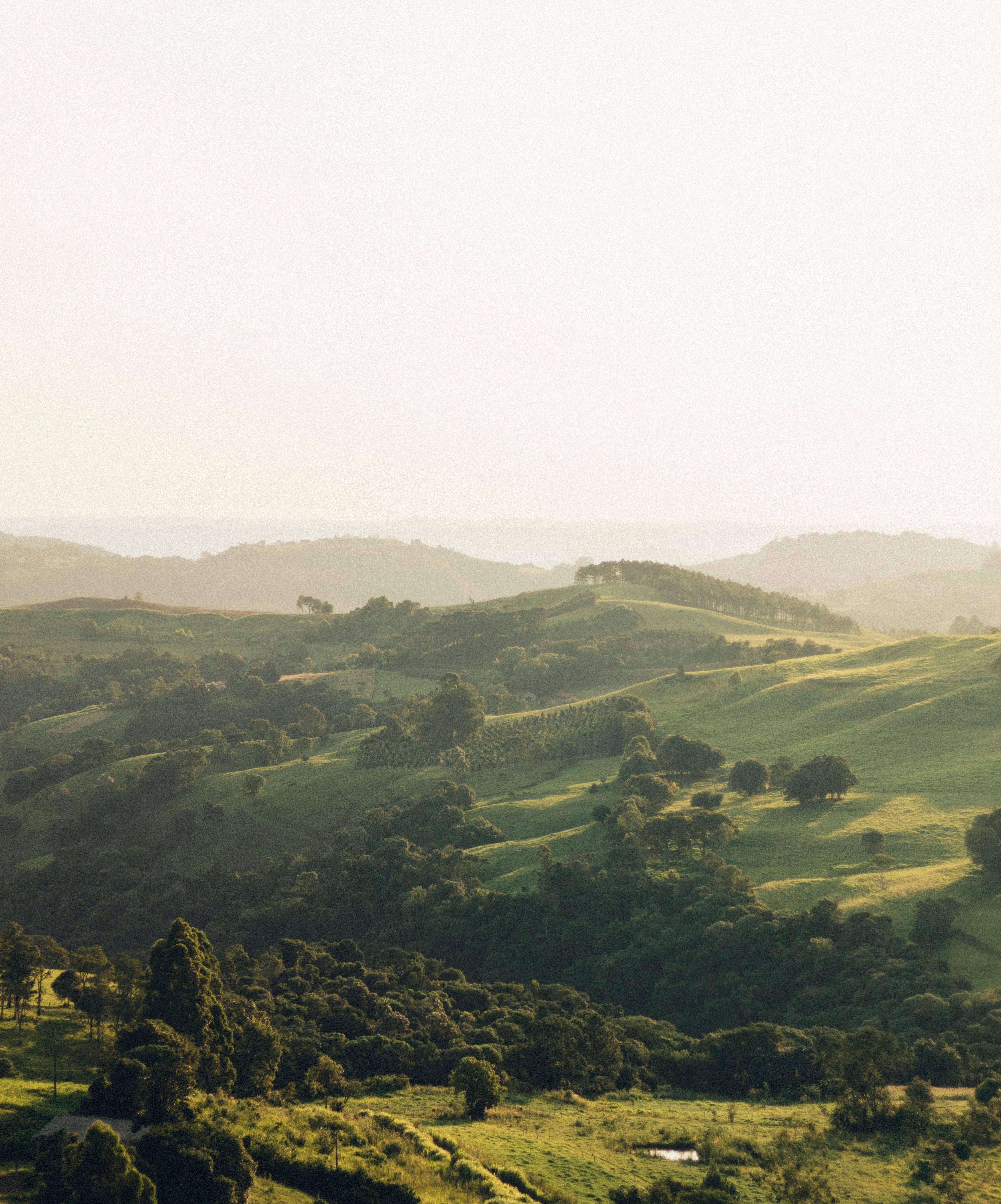 Photo of Trees on Hills · Free Stock Photo
