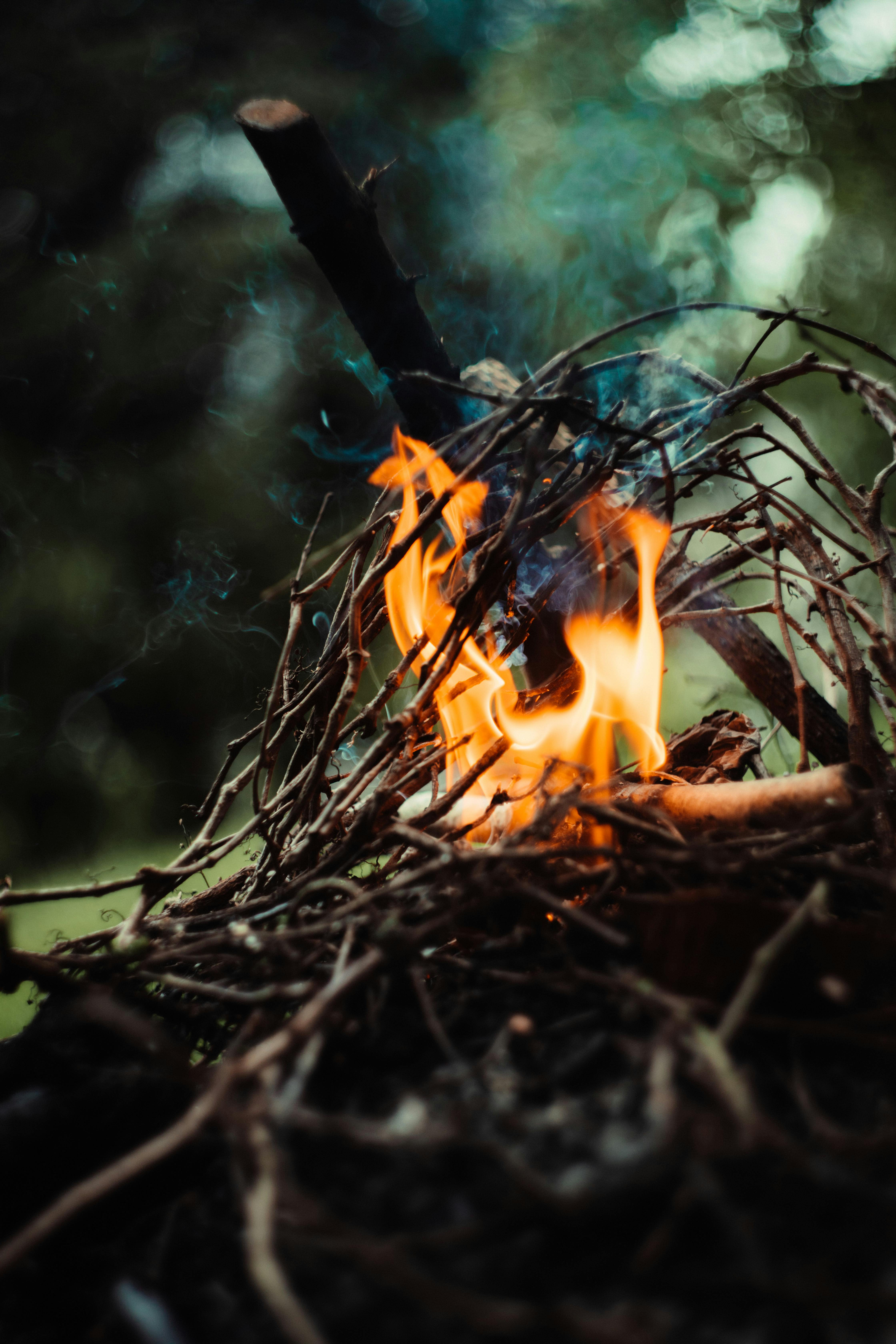 A Close-Up Shot of Burning Twigs and Branches · Free Stock Photo