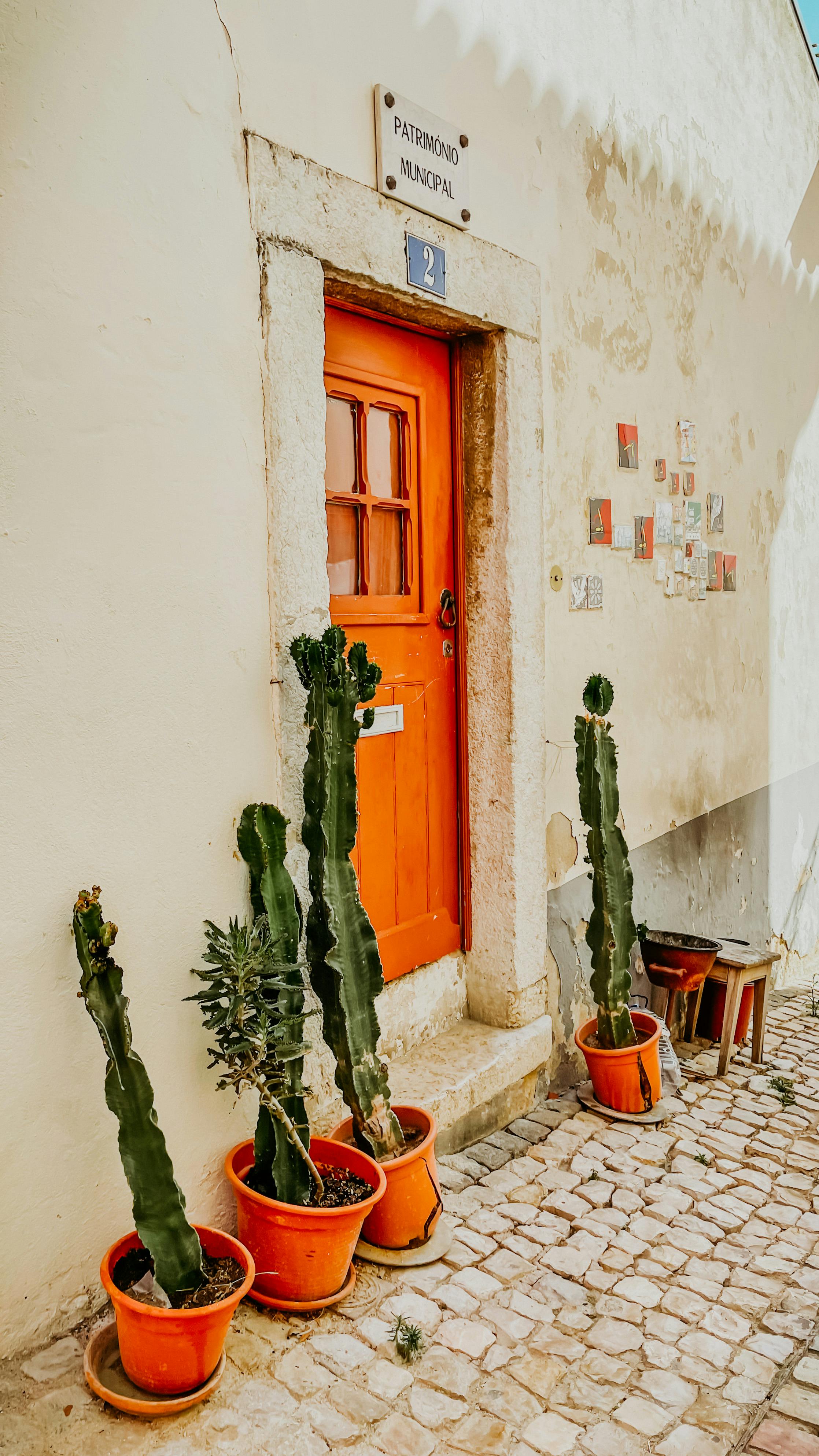 Potted Plants mounted on a Wall · Free Stock Photo