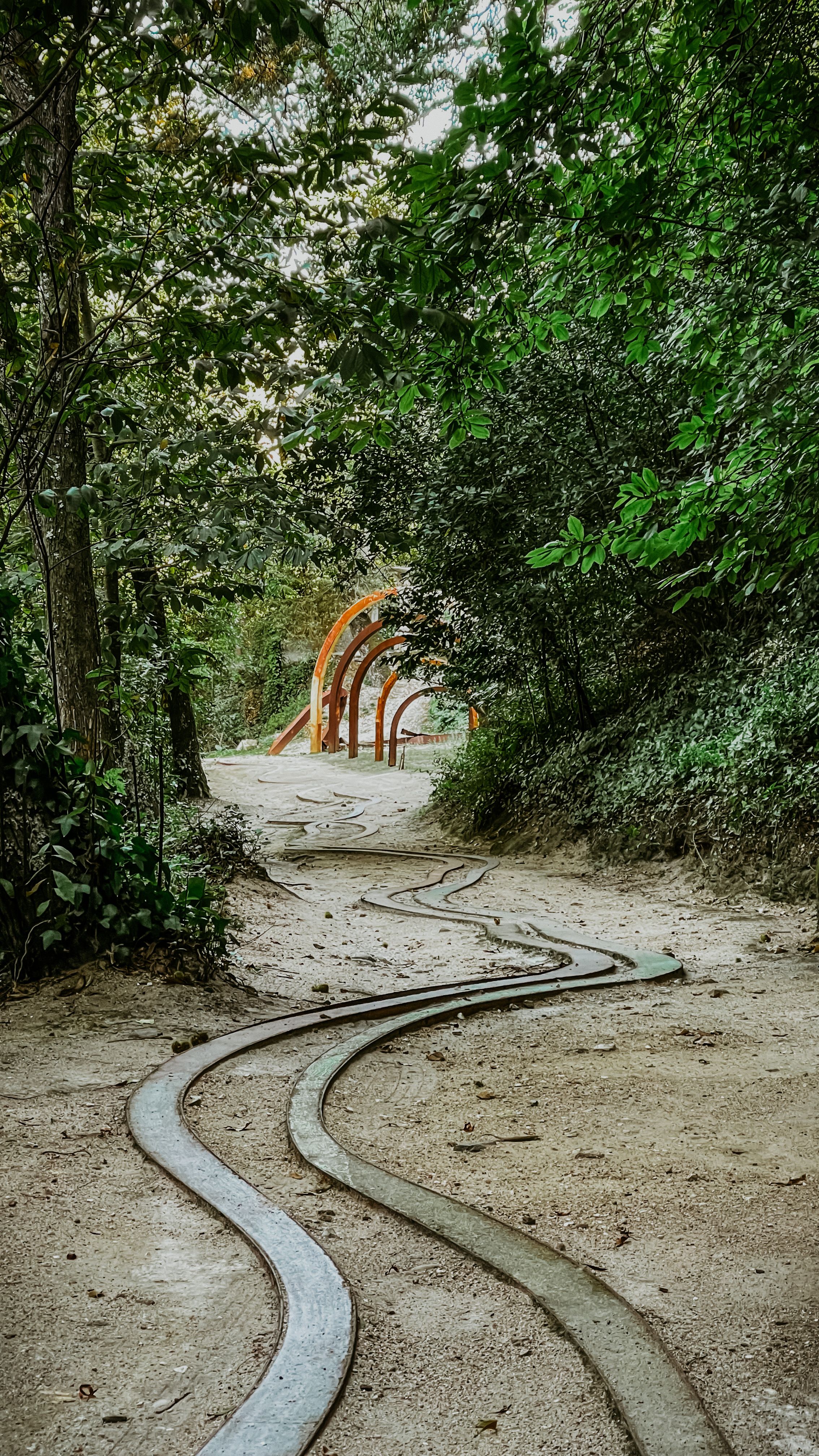 Unpaved Pathway between Plants · Free Stock Photo
