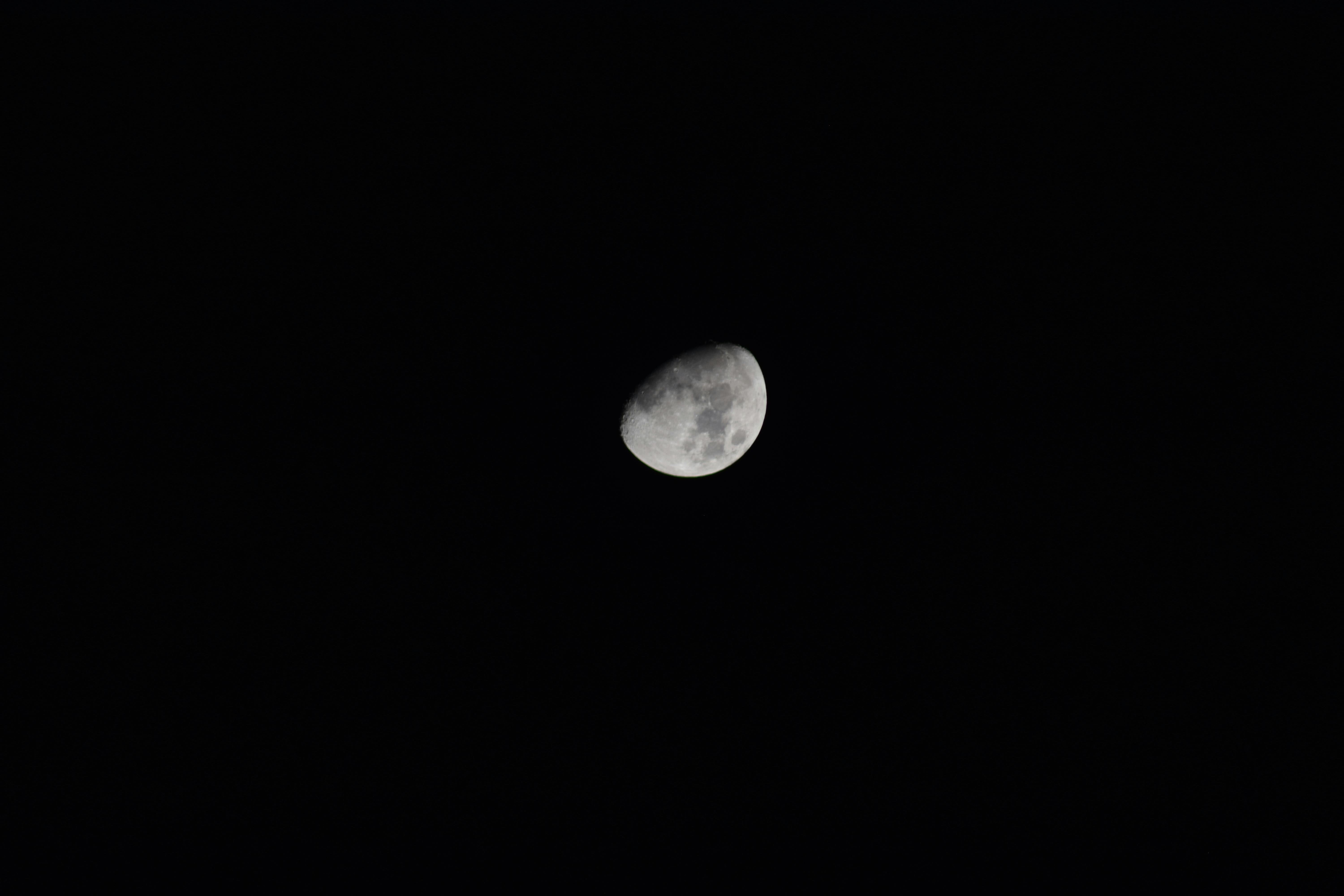 Black and White Photo of a Moon · Free Stock Photo