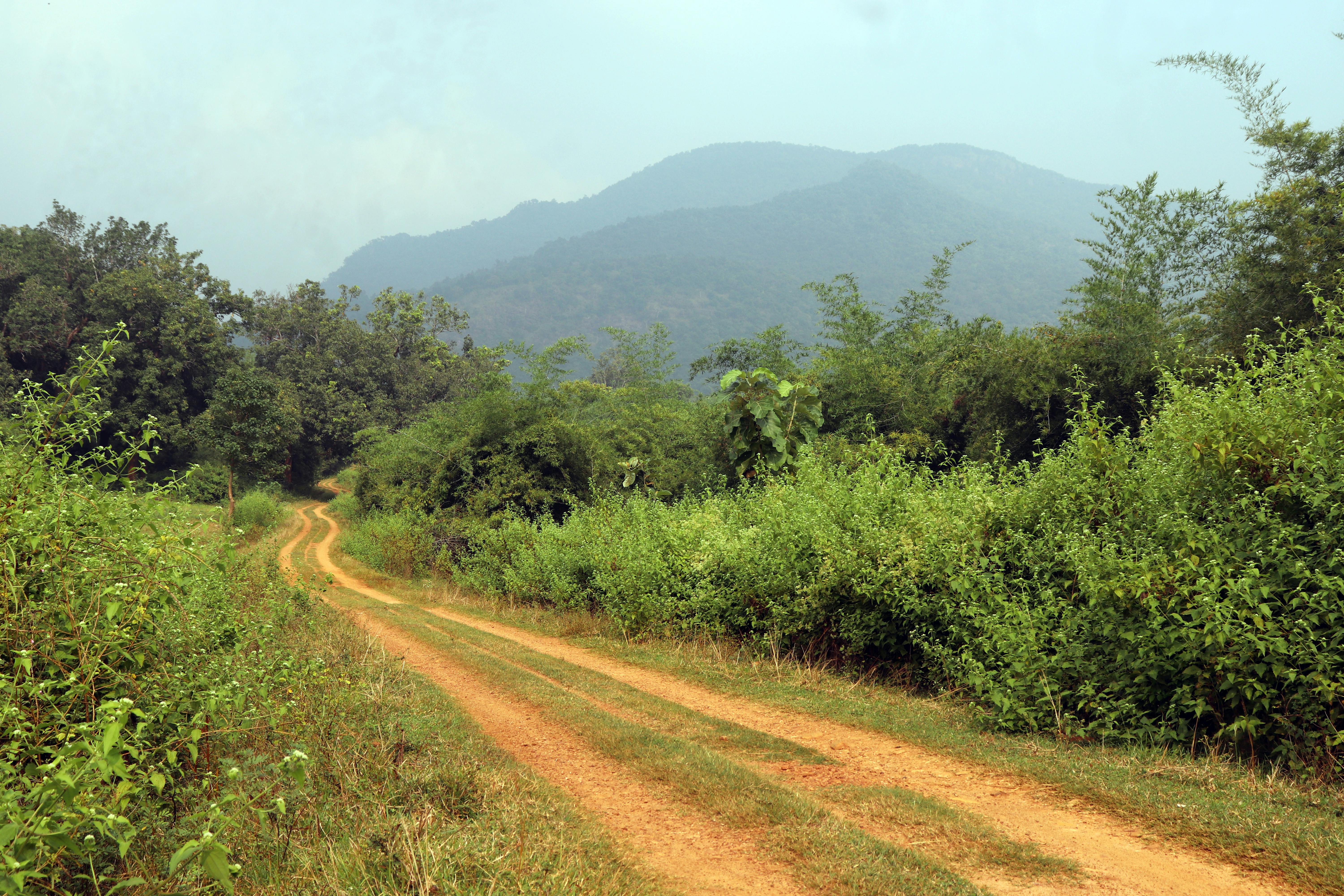 Khirod Behera - Photography