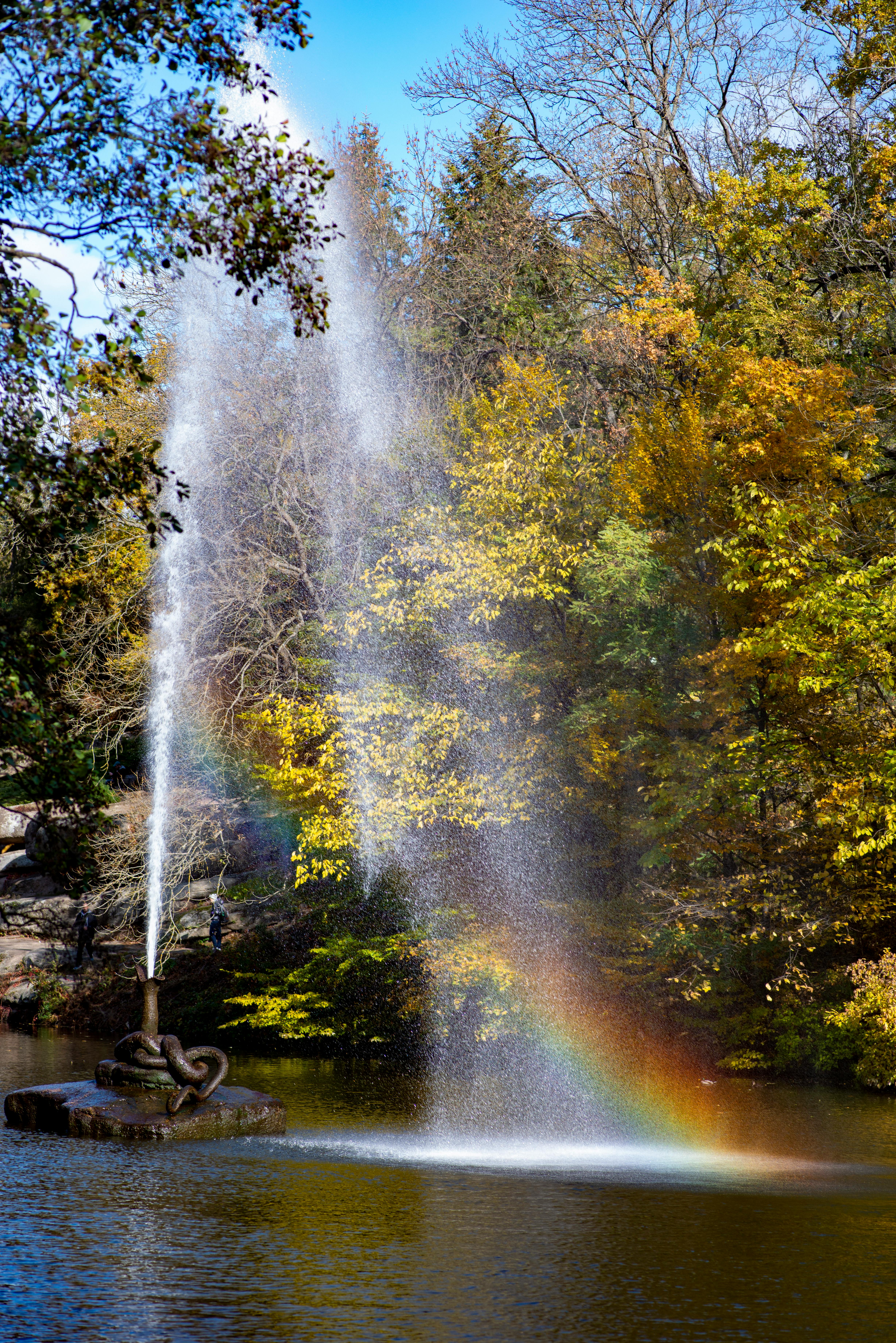 Forest Fountains Photos, Download The BEST Free Forest Fountains Stock ...