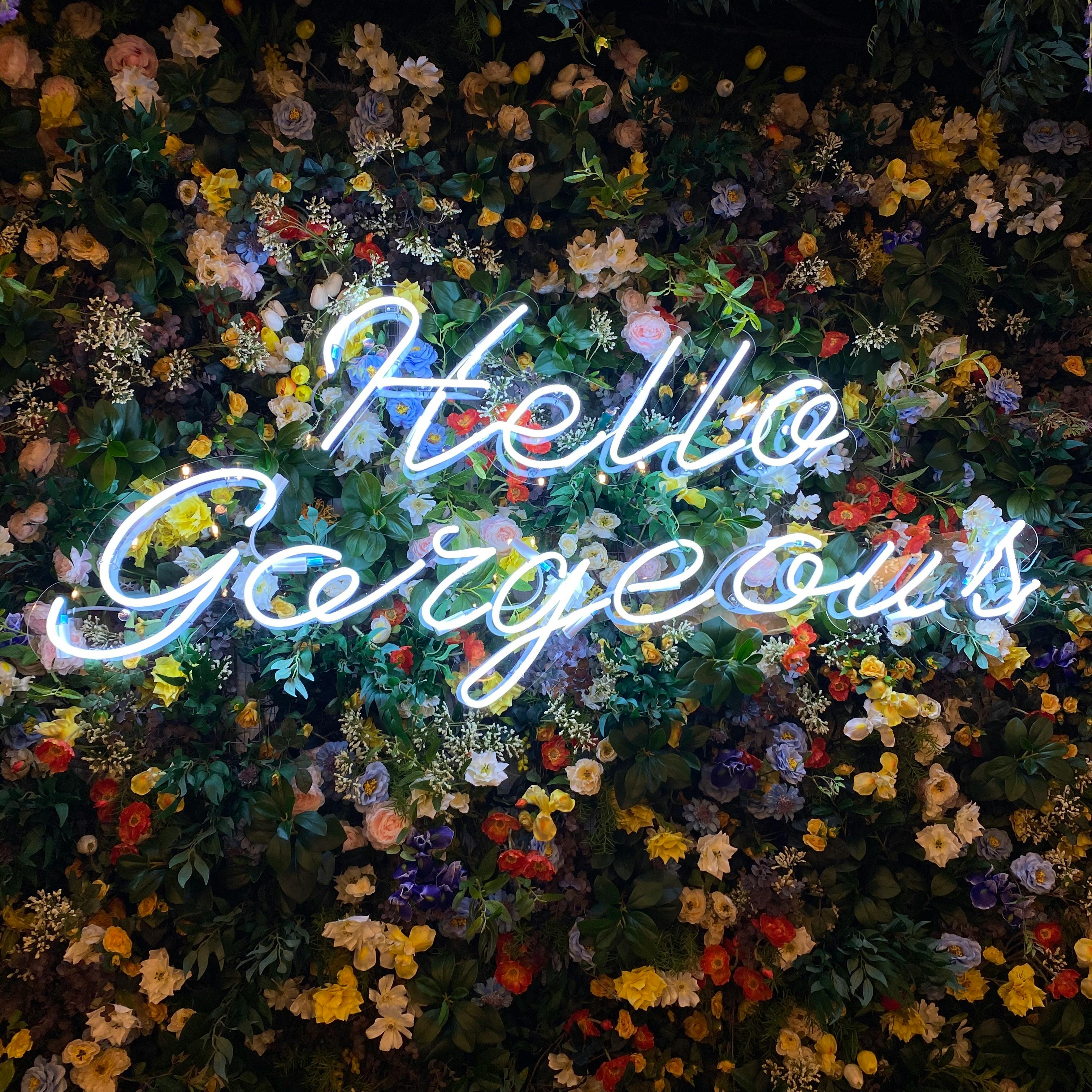 Neon Hello Photos, Download The BEST Free Neon Hello Stock Photos & HD ...