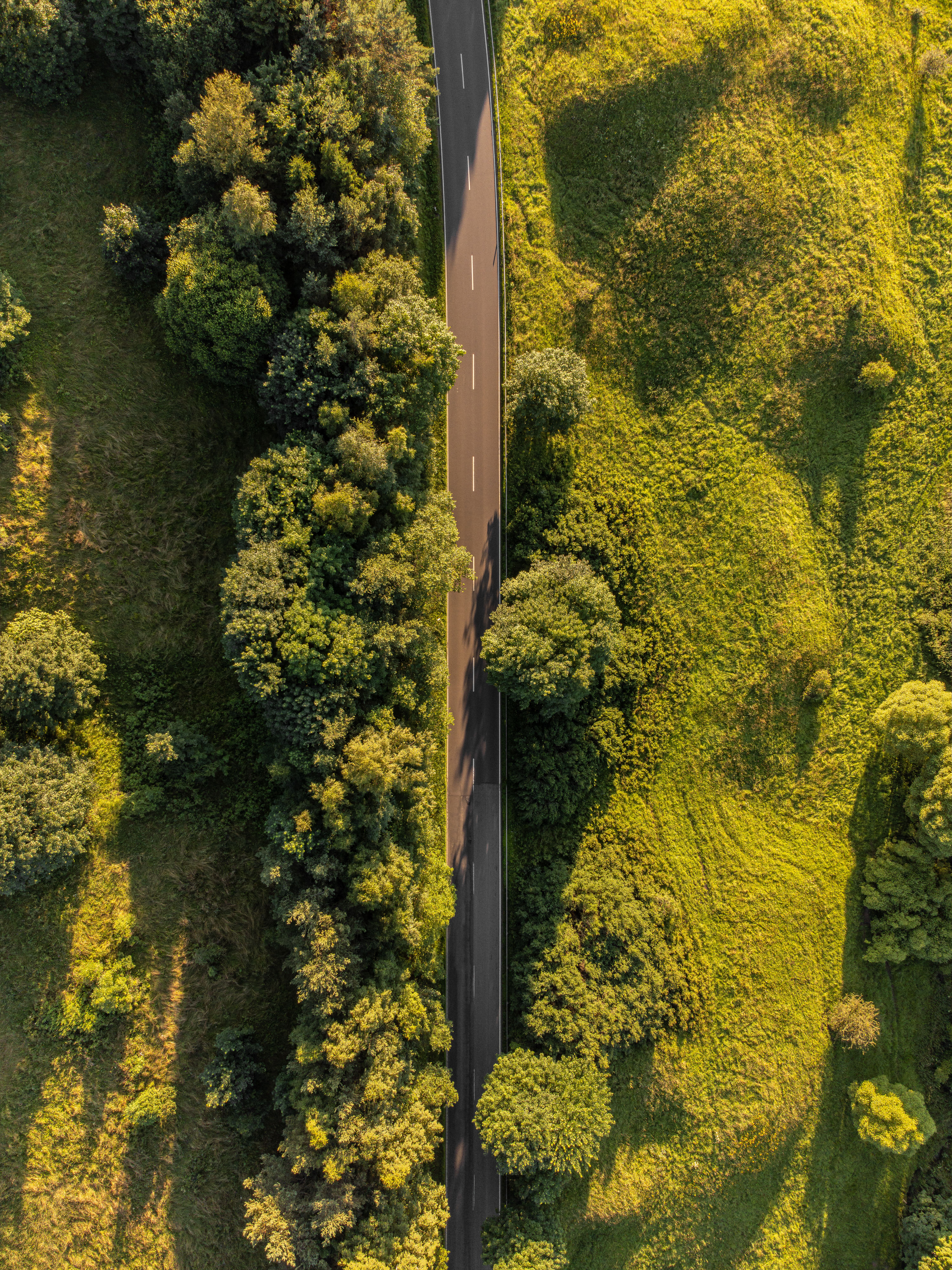 Bird's-eye view of an Asphalt Road · Free Stock Photo