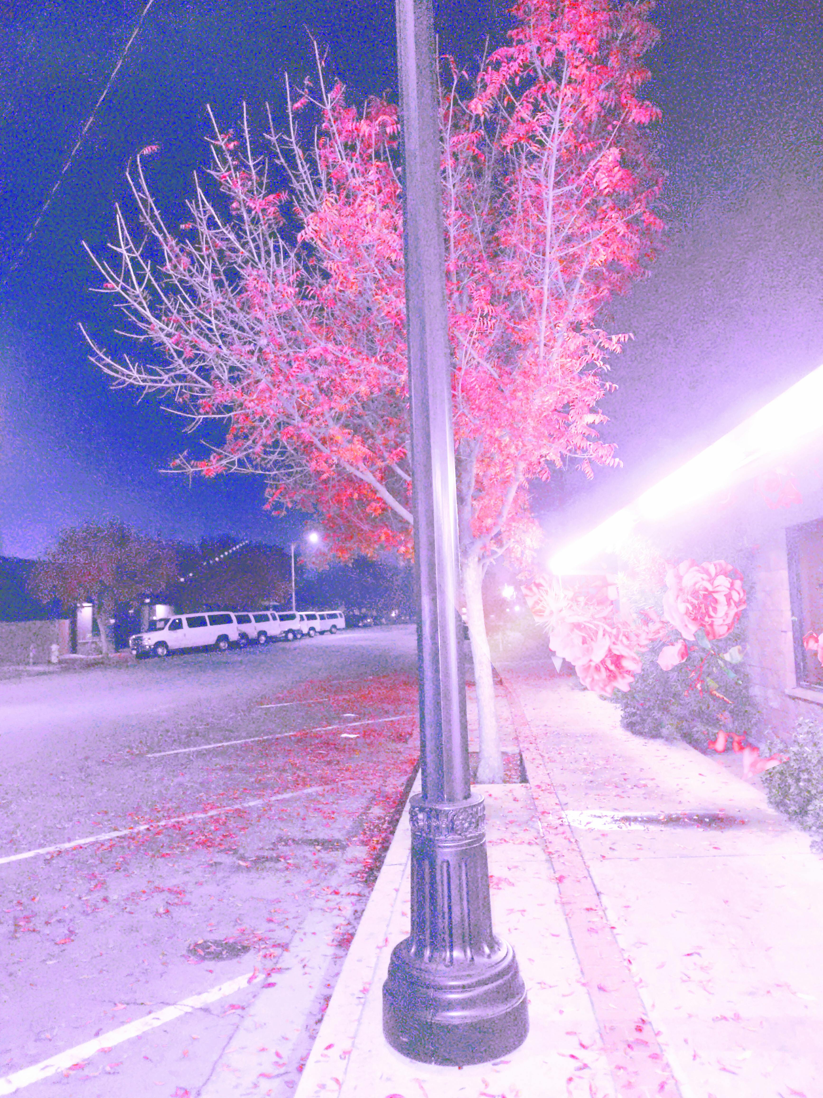 Jaasiel Gonzalez - Photography