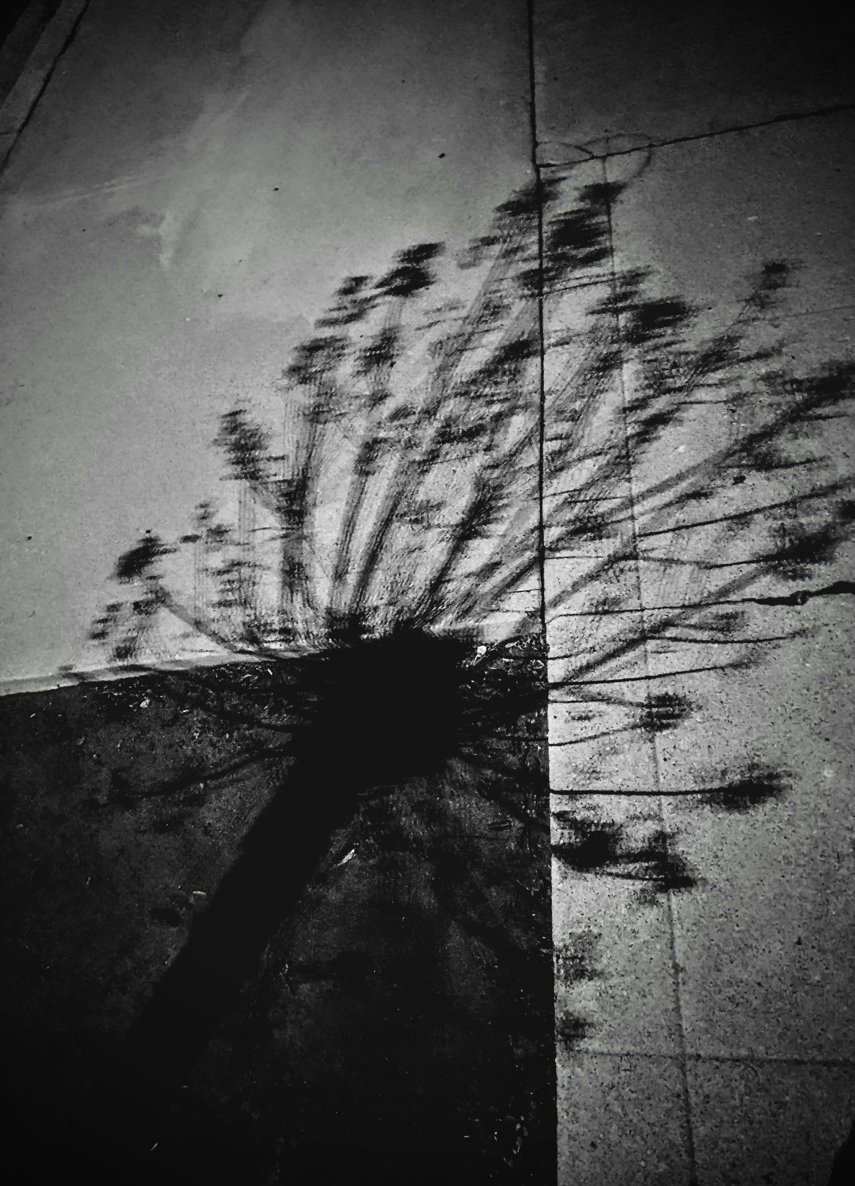 Jaasiel Gonzalez - การถ่ายภาพ