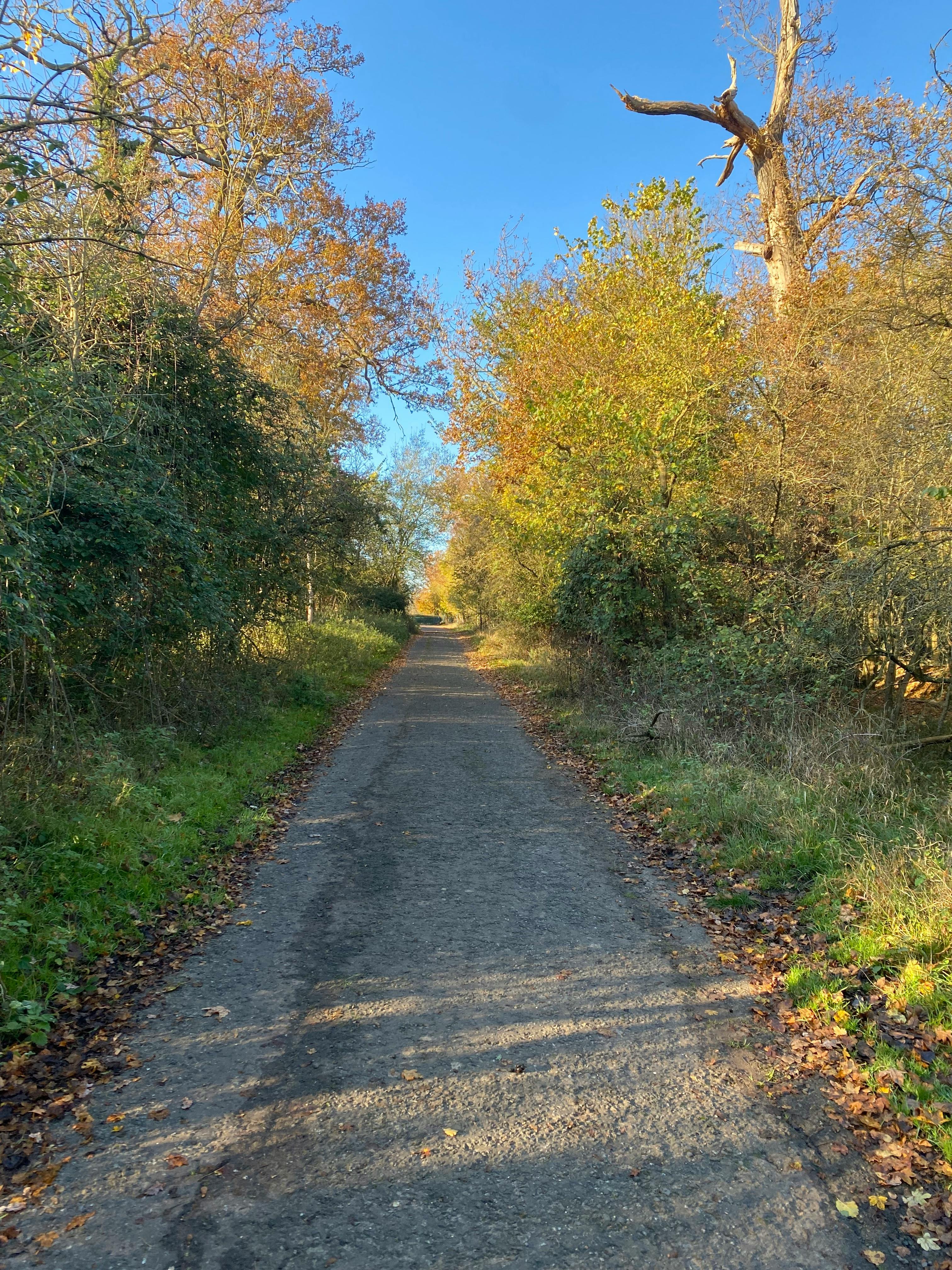 Ileana Bondor - Photography