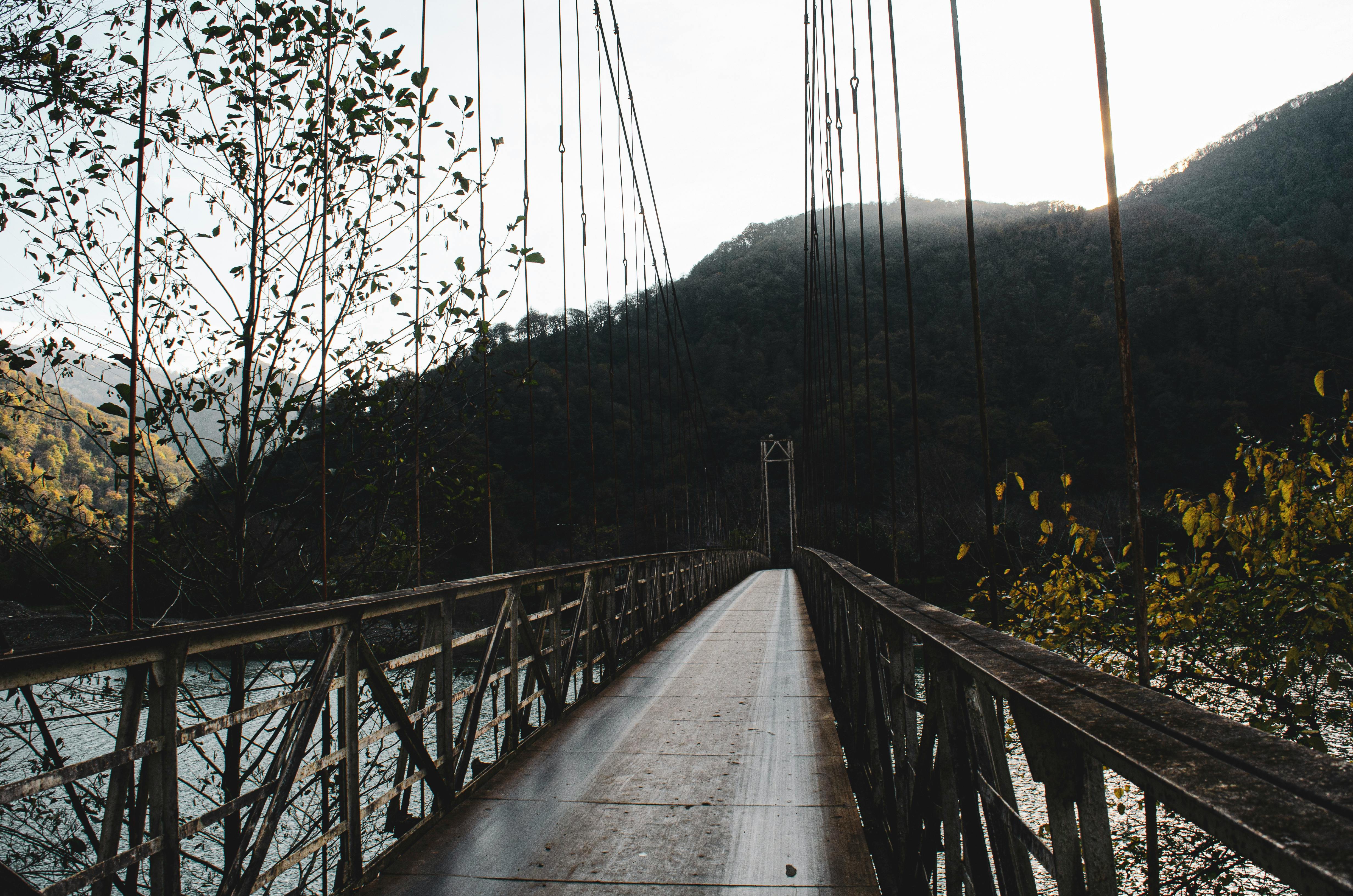 Suspension Bridge on Mountainside · Free Stock Photo