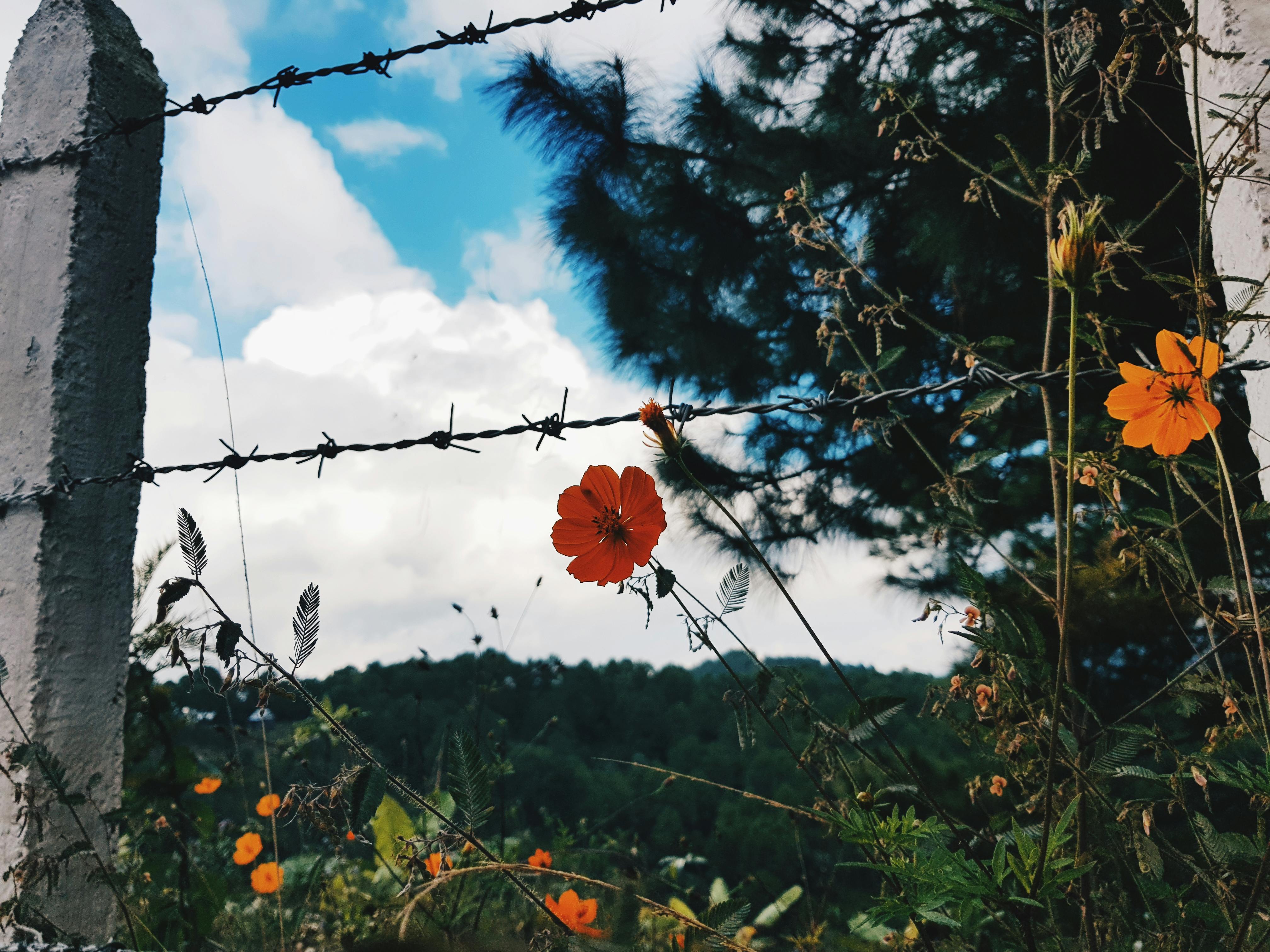 Phyo Hein Kyaw - Photography