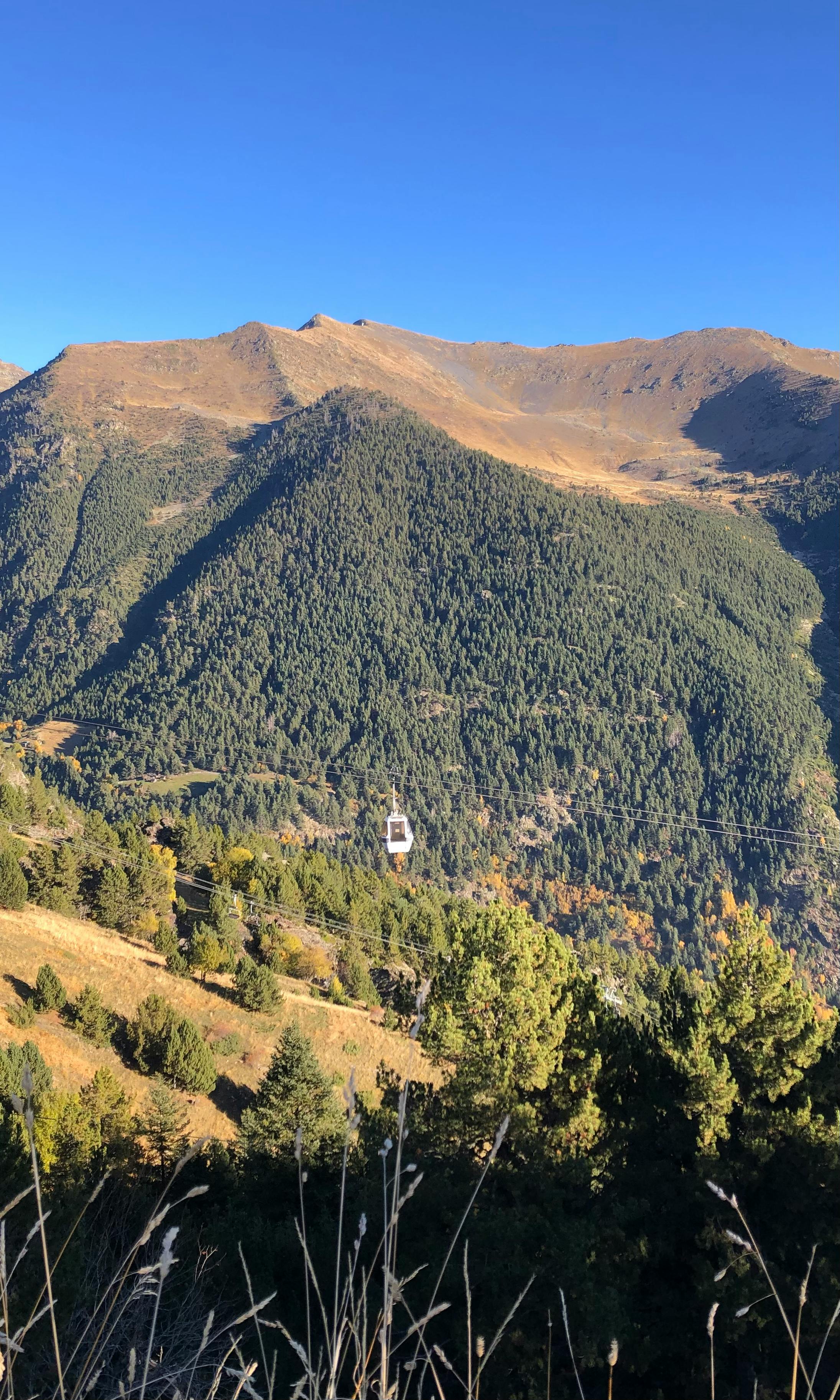 Carolina Remolina - Photography