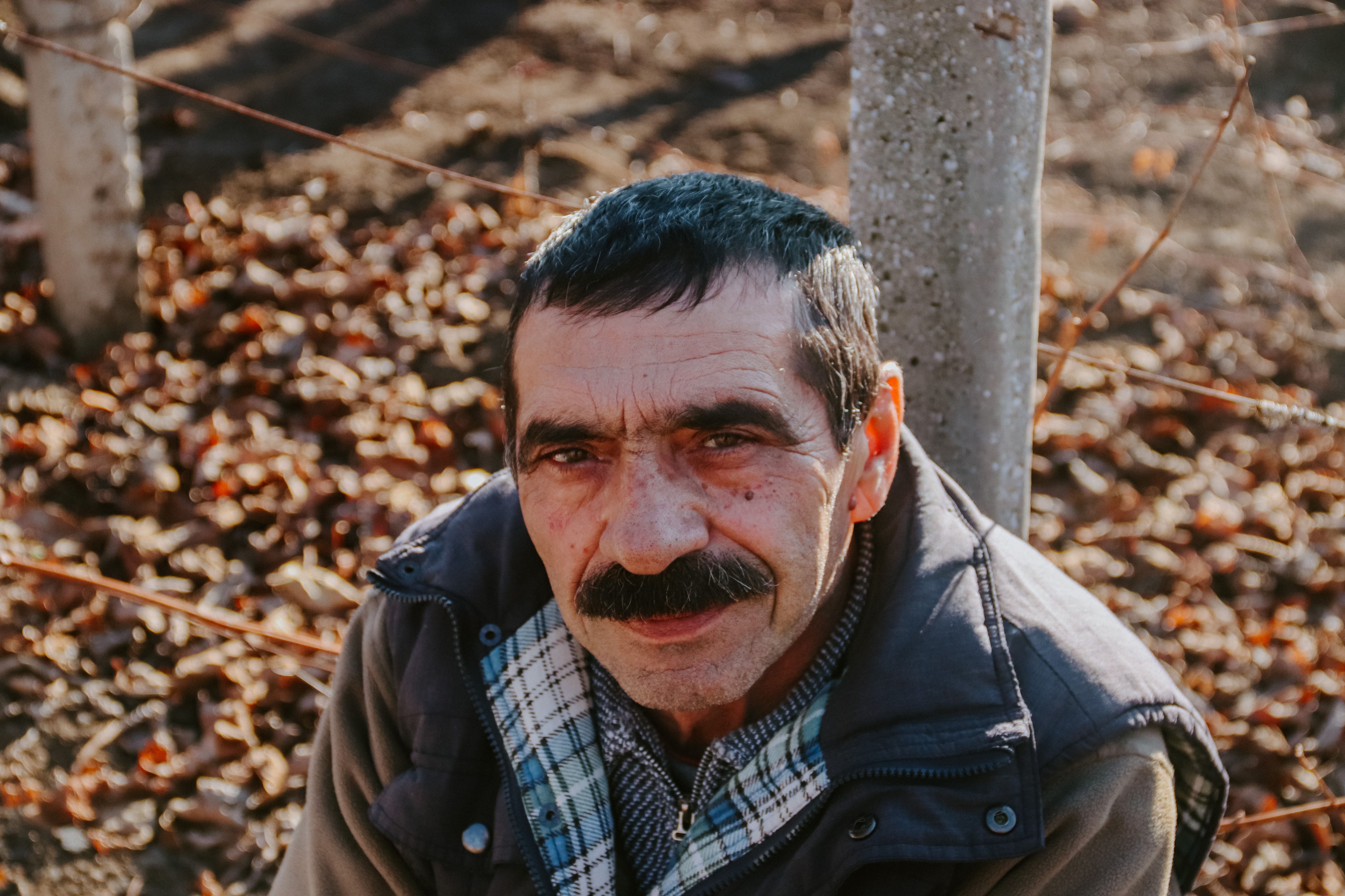 Close Up Photo of Man with a Mustache · Free Stock Photo