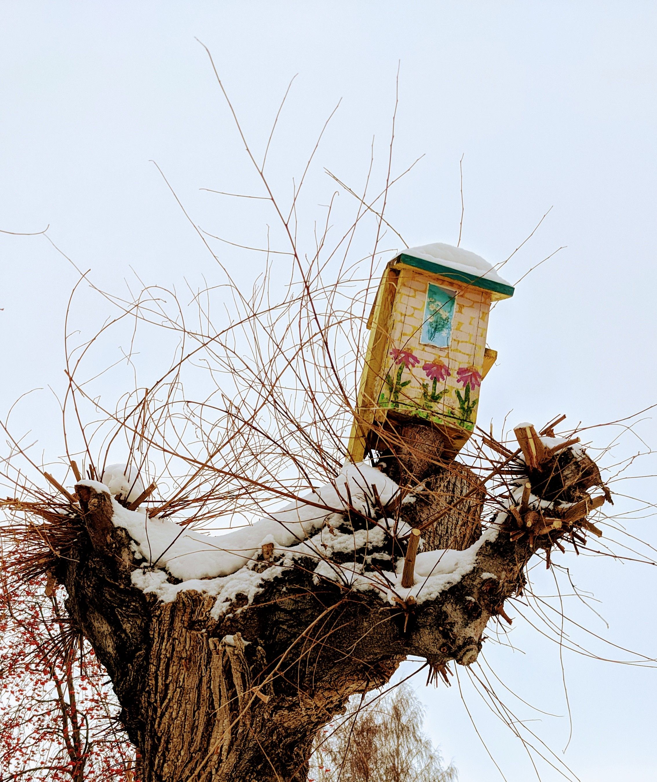 Tree Bird Box Photos, Download The BEST Free Tree Bird Box Stock Photos ...