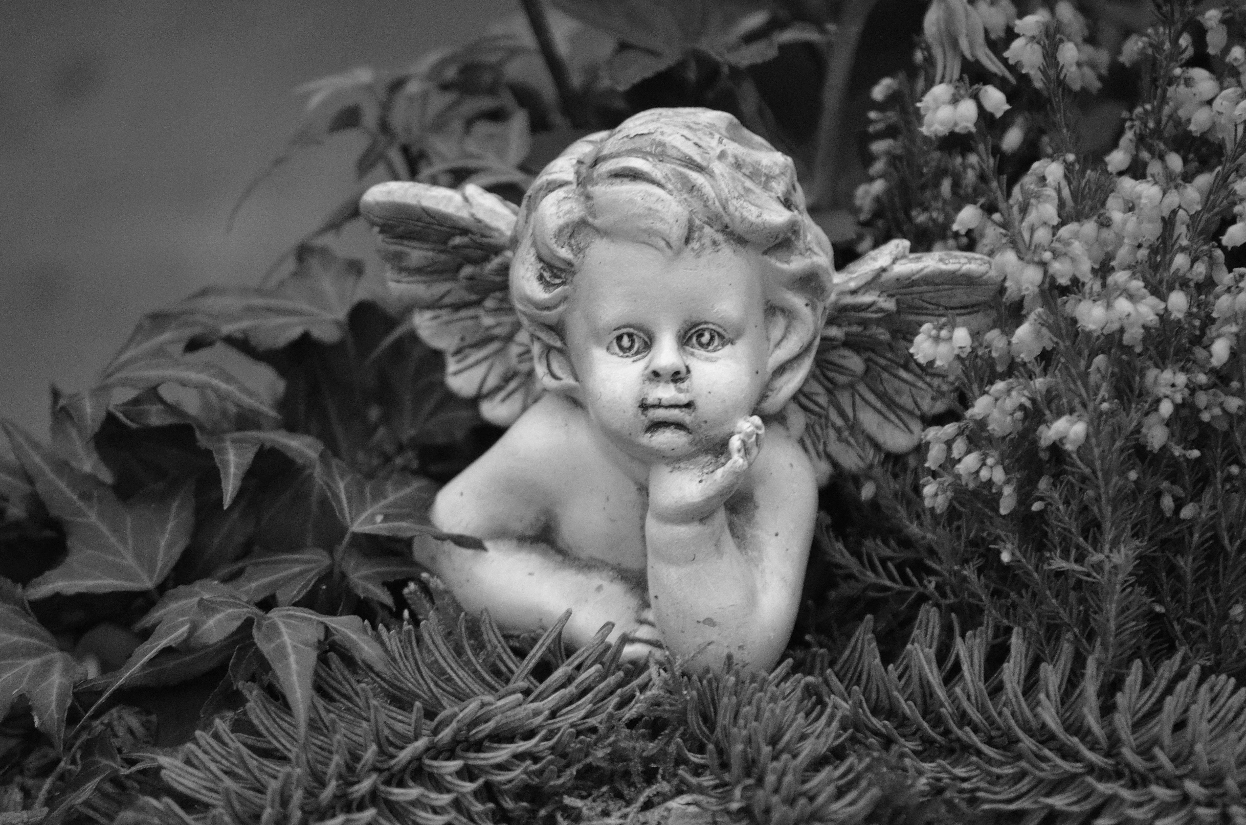 Grayscale Photo of Angel Statue · Free Stock Photo