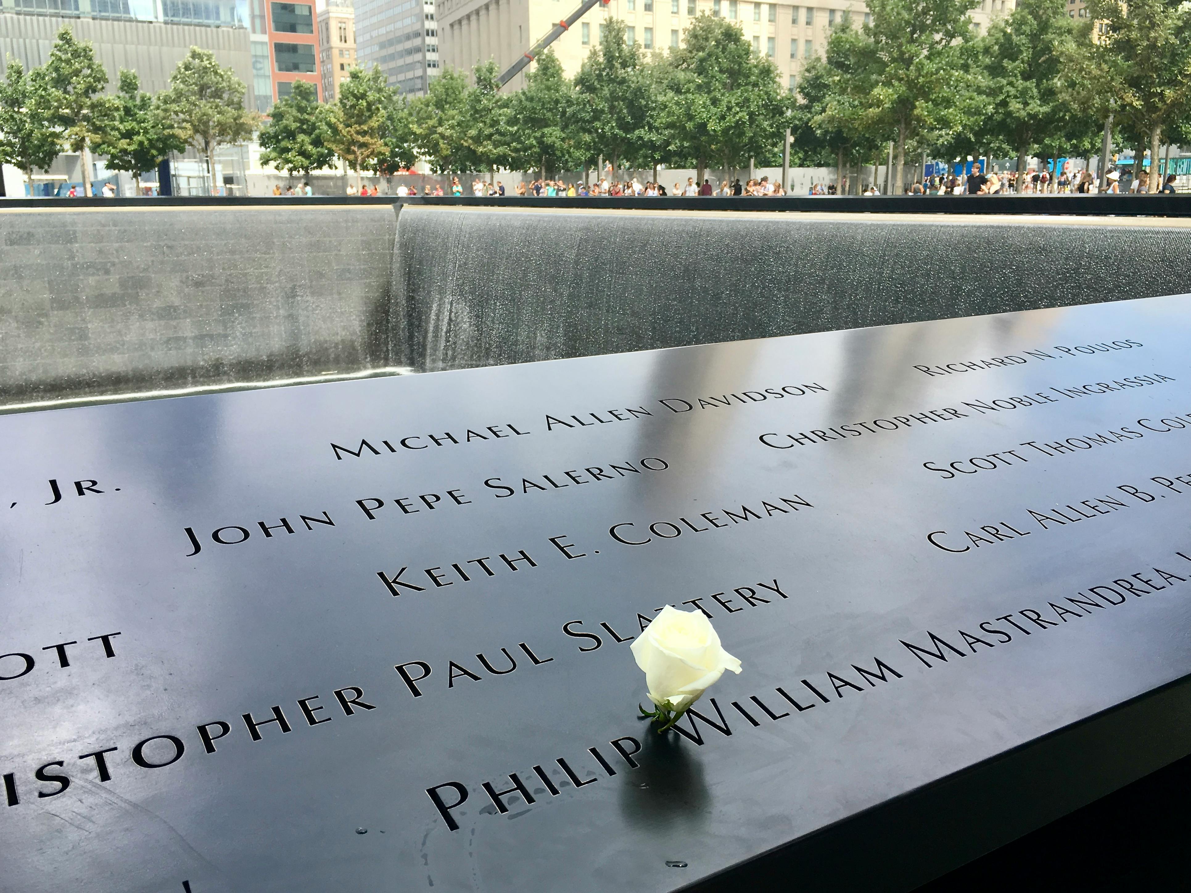 Creative 17 Photos & Videos Collected by iSAW Company