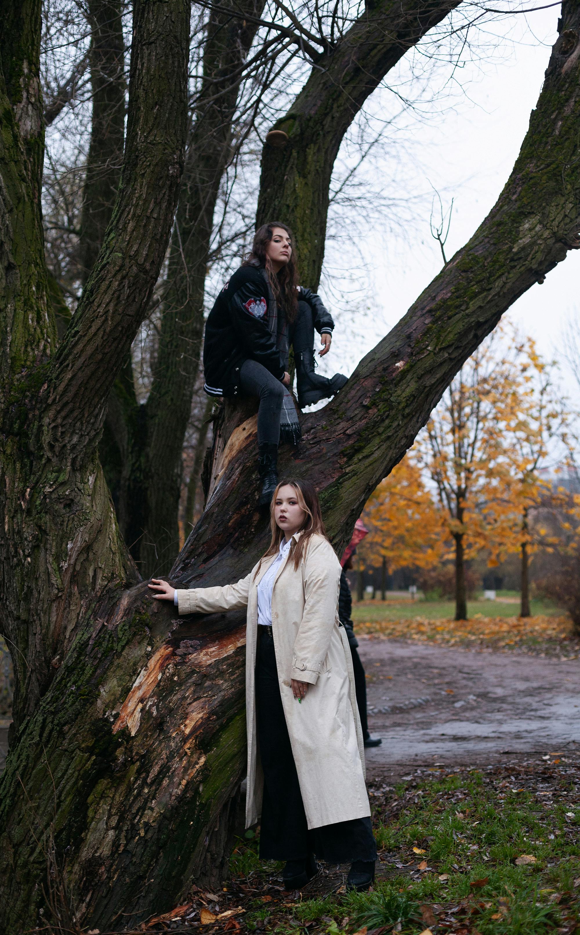 Women Posing on a Tree · Free Stock Photo