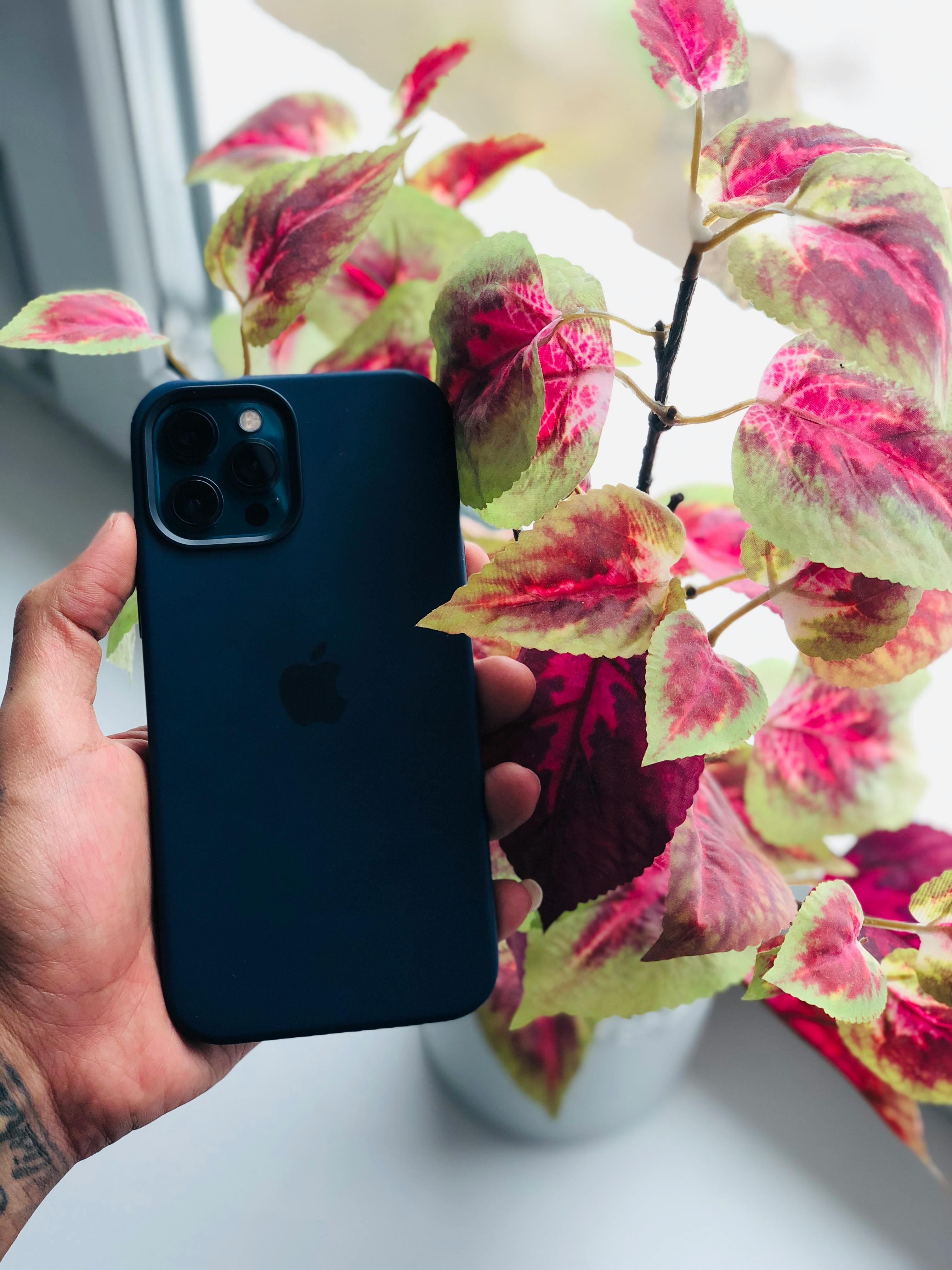 Back of the iPhone · Free Stock Photo