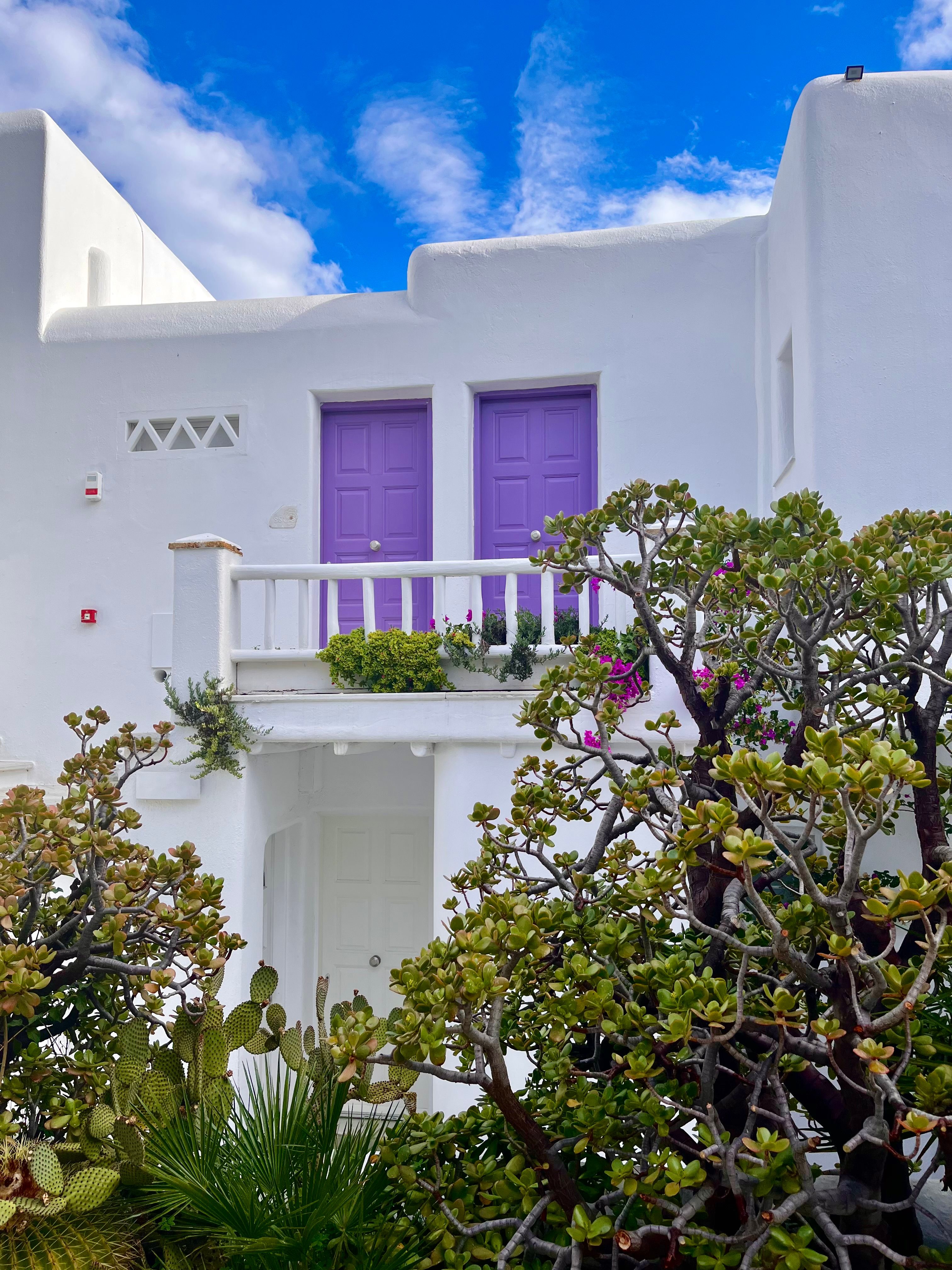 Footpath Leading to a Building · Free Stock Photo