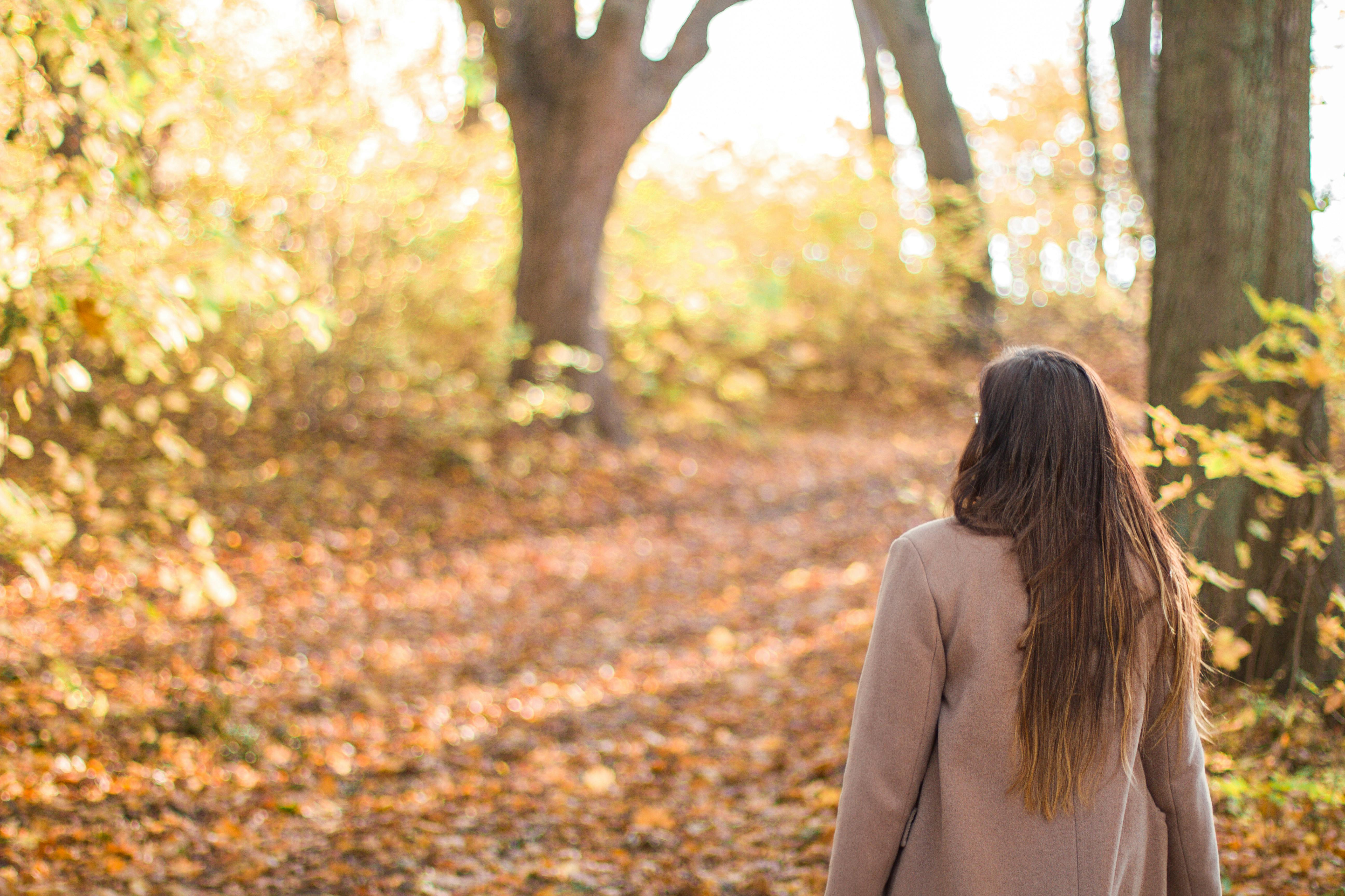 Woman Standing Near Trees · Free Stock Photo