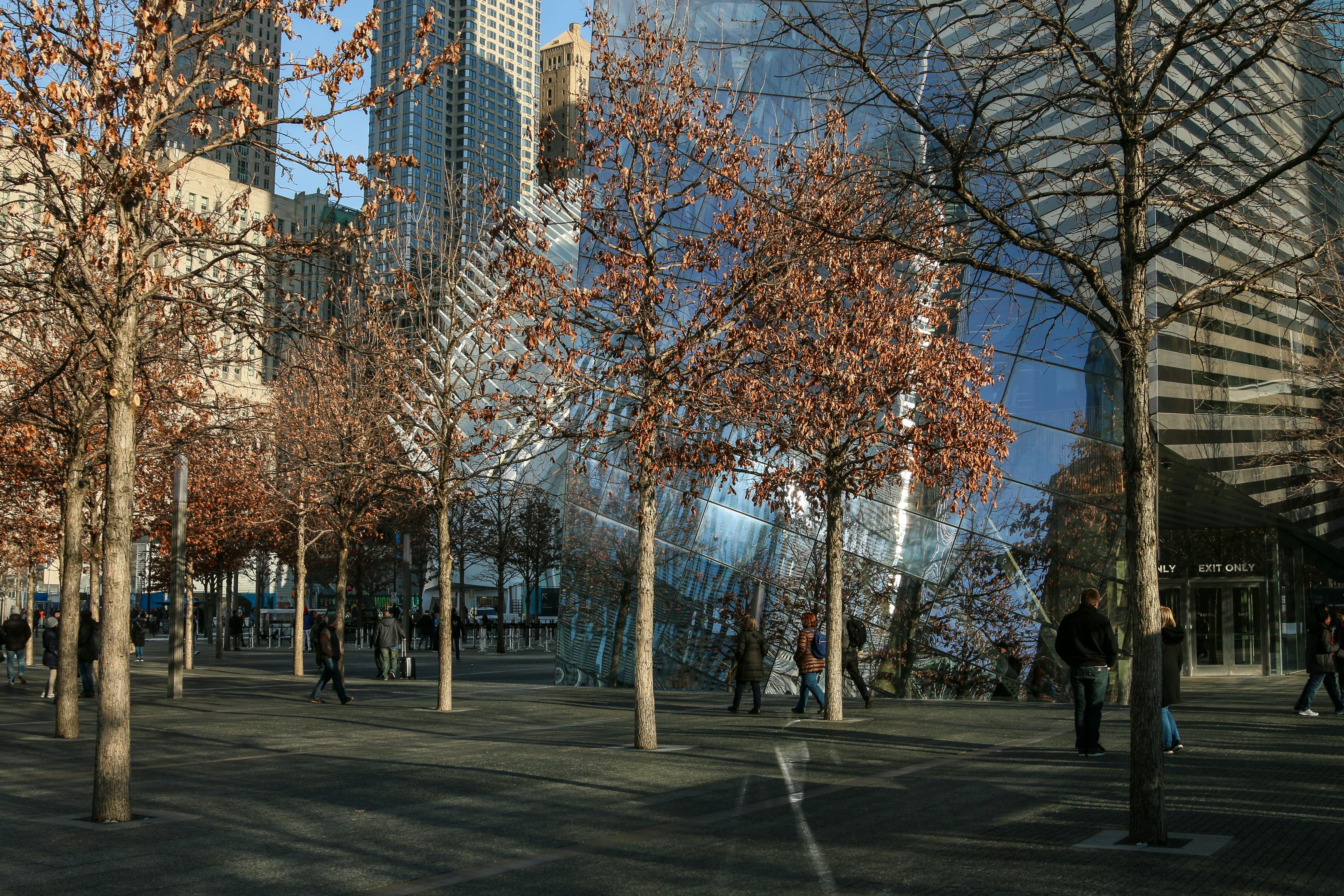 Park near Buildings in New York · Free Stock Photo