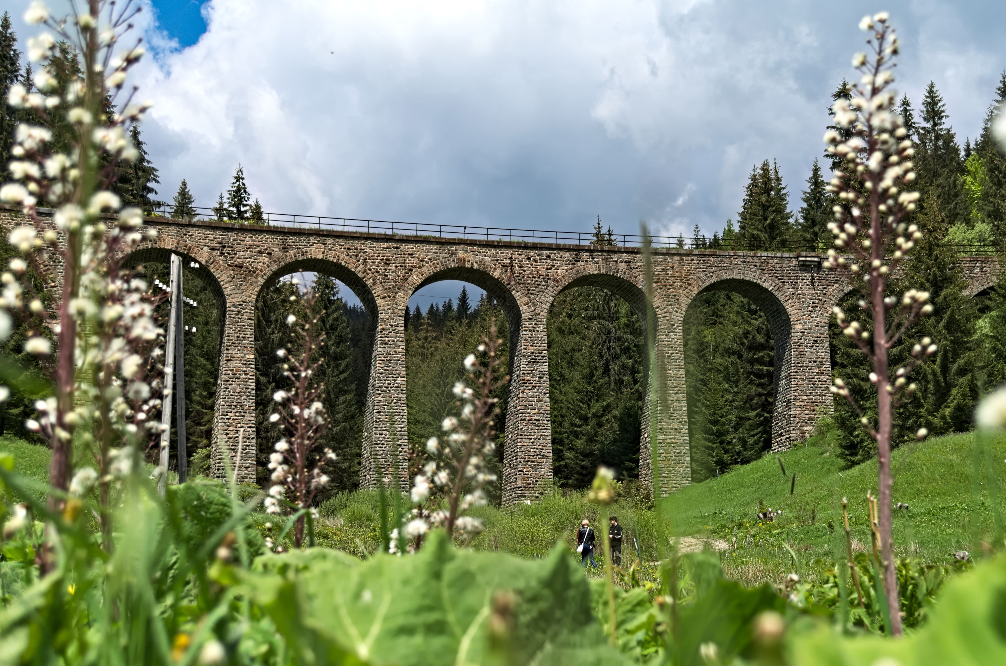 Green Grass Field Under Gray Concrete Bridge · Free Stock Photo