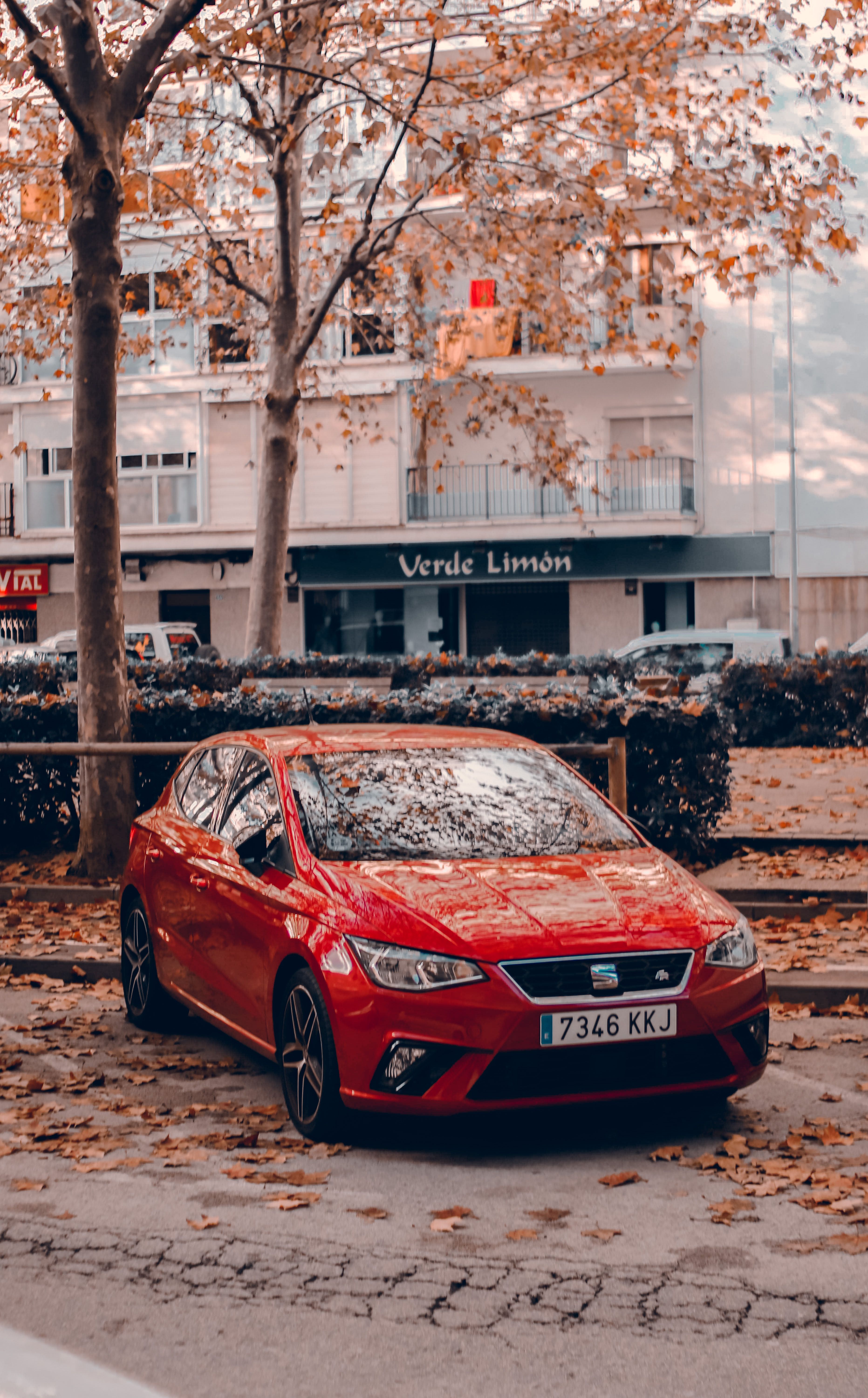 Red Car Parked Near Brown Tree · Free Stock Photo