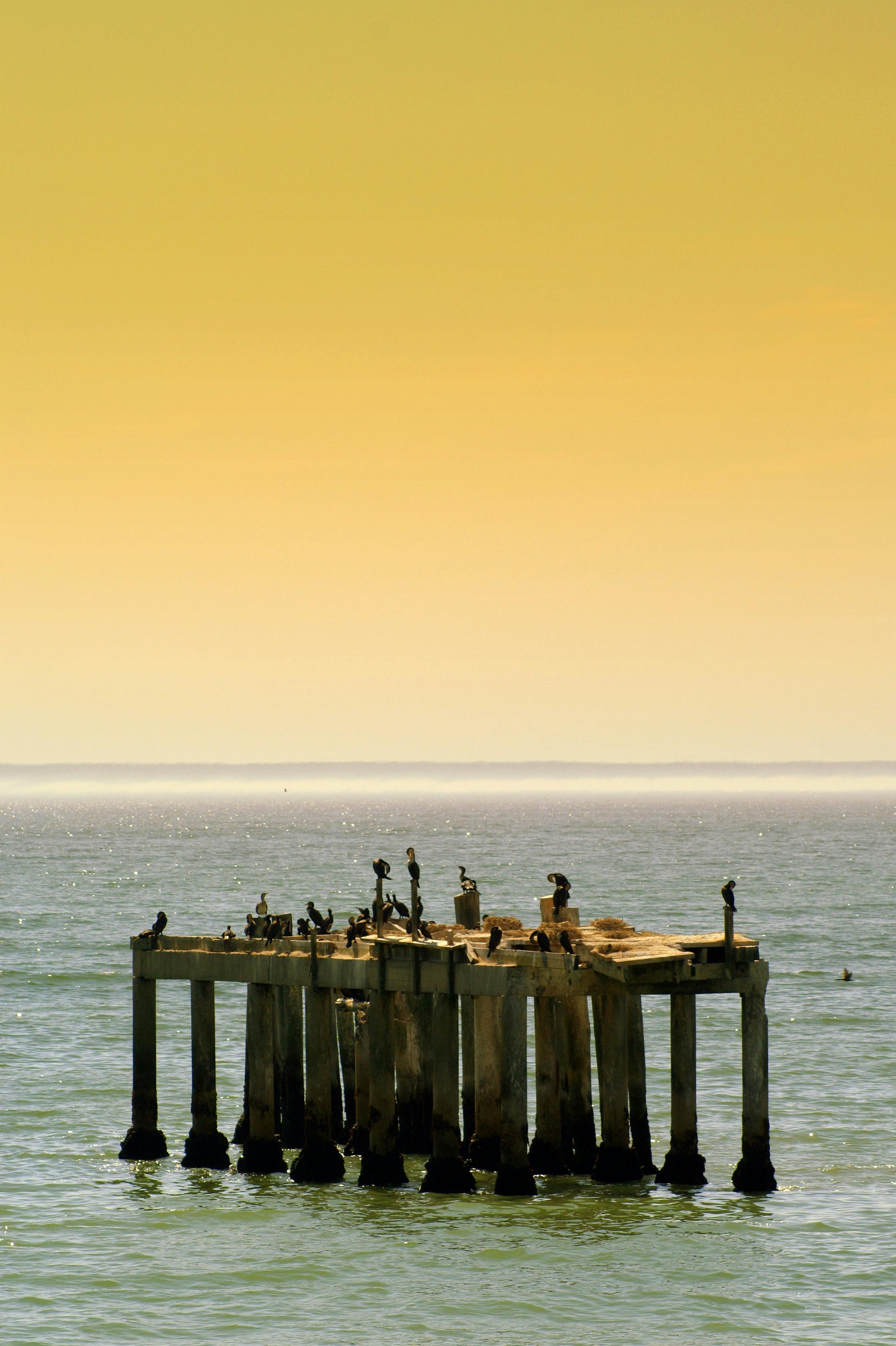 Sea Dock during Golden Hour · Free Stock Photo