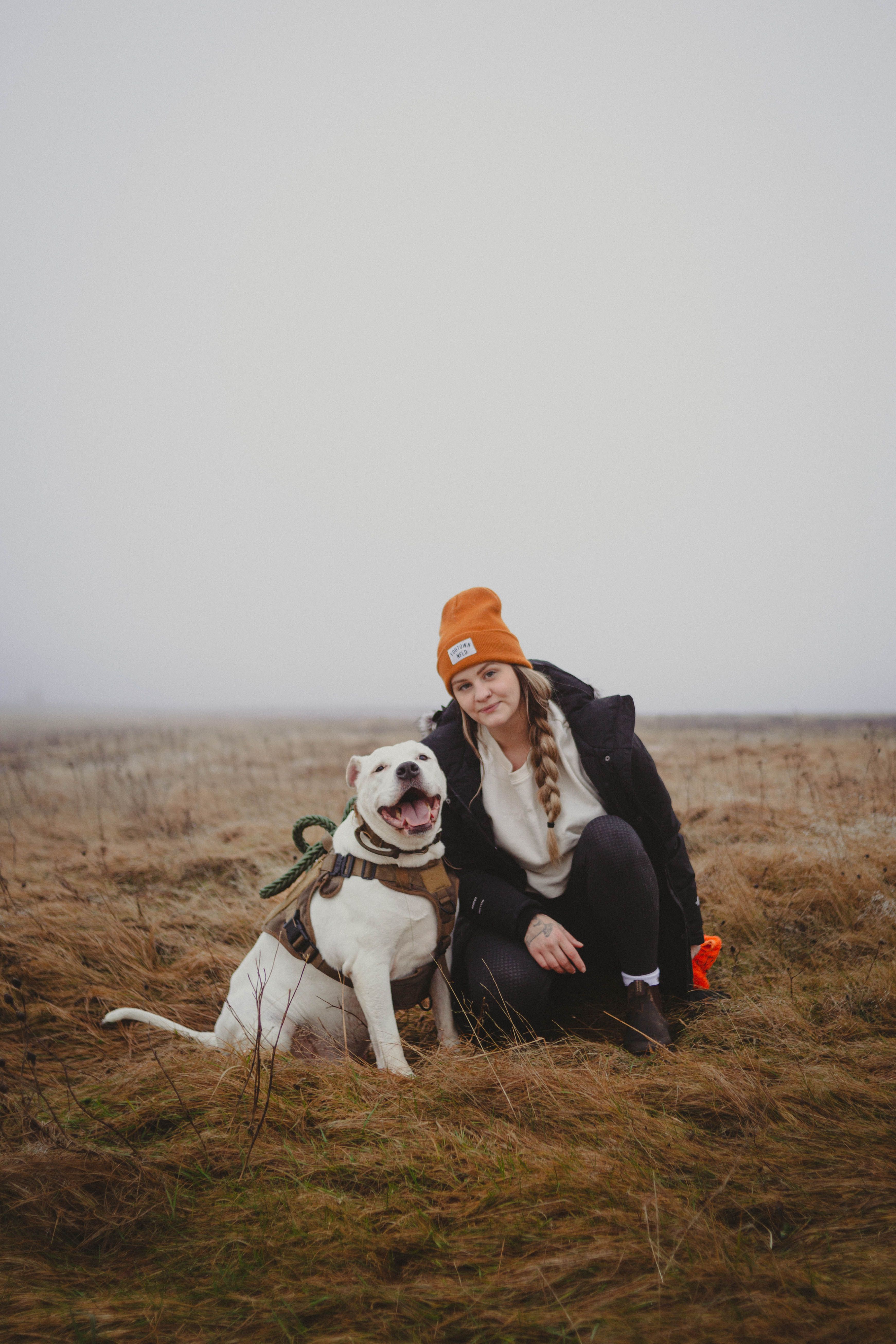 Fog Dog Photos, Download The BEST Free Fog Dog Stock Photos & HD Images