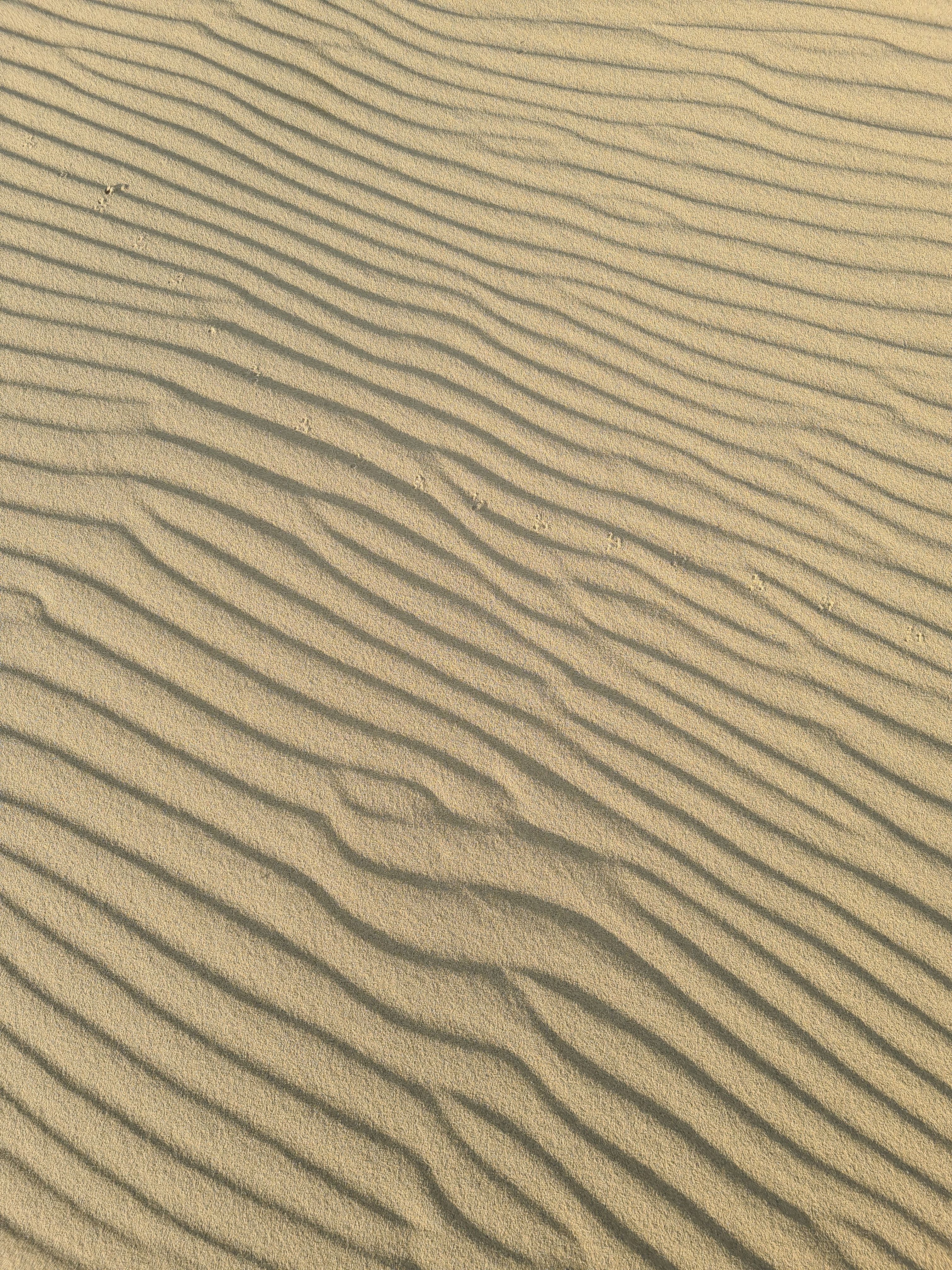 Sand Waves in the Desert · Free Stock Photo