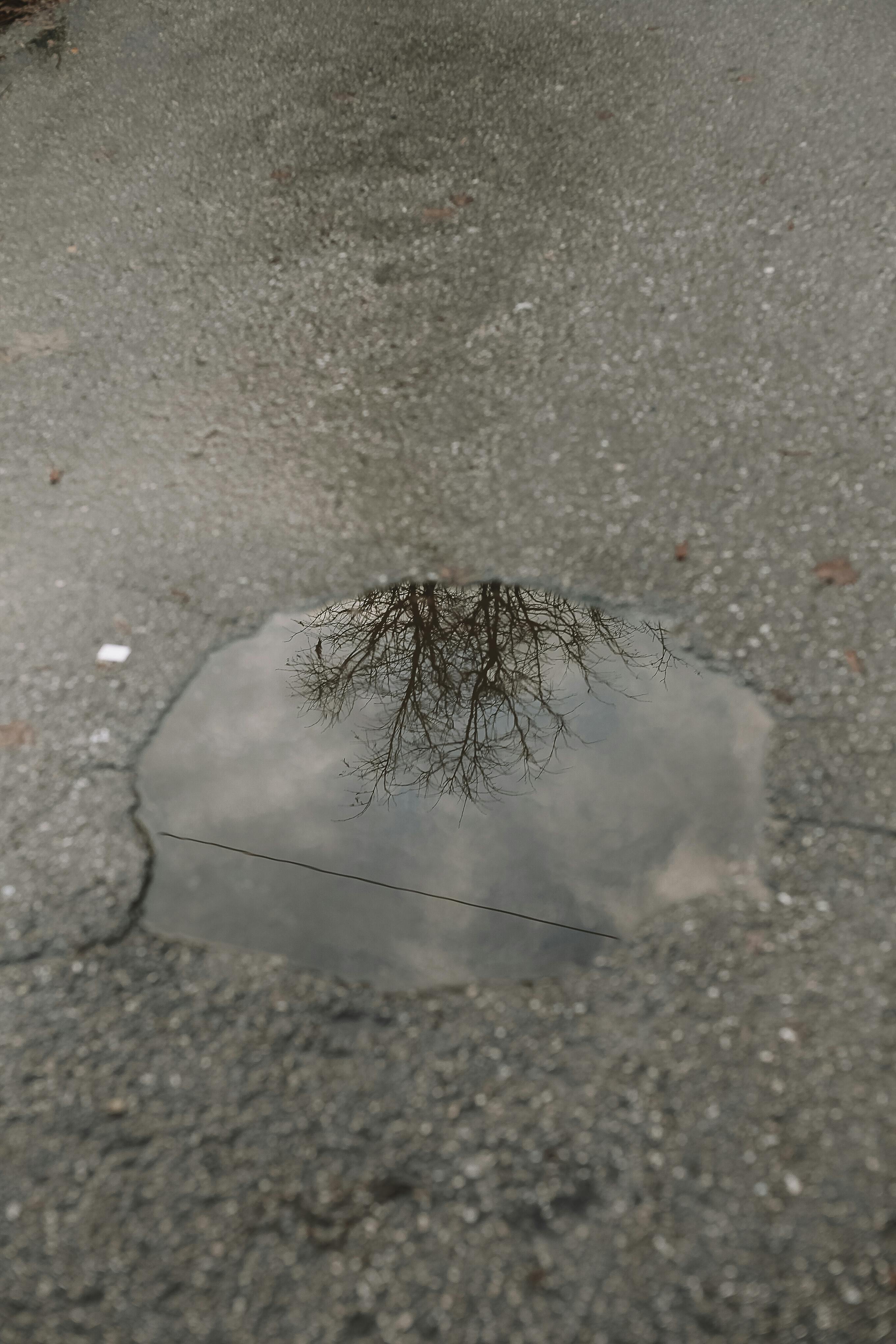 Water Spill on Ground · Free Stock Photo