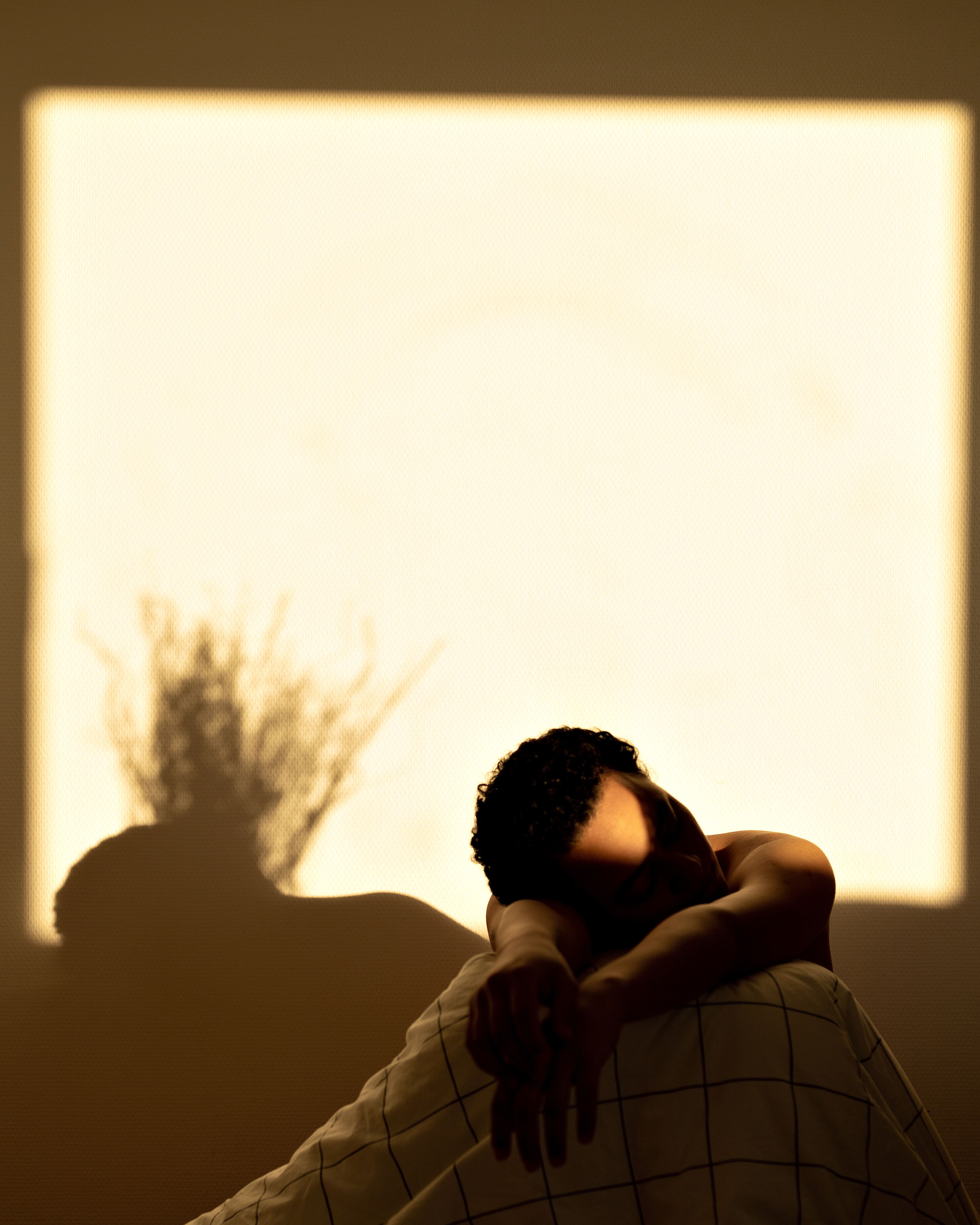 A Natural Light Casting Shadow of a Person and Flower on a Wall · Free ...