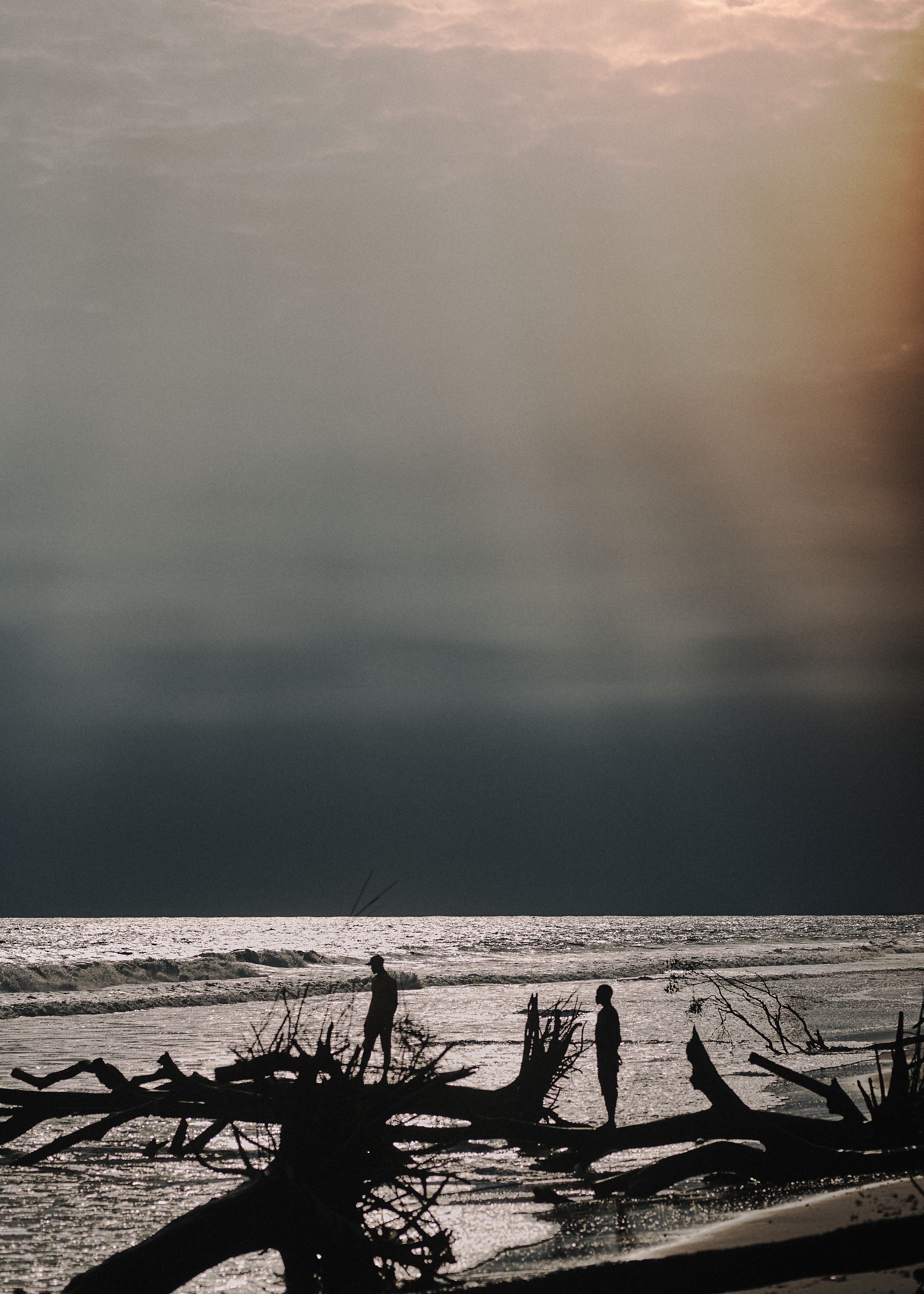 Tree Trunk on the Beach · Free Stock Photo