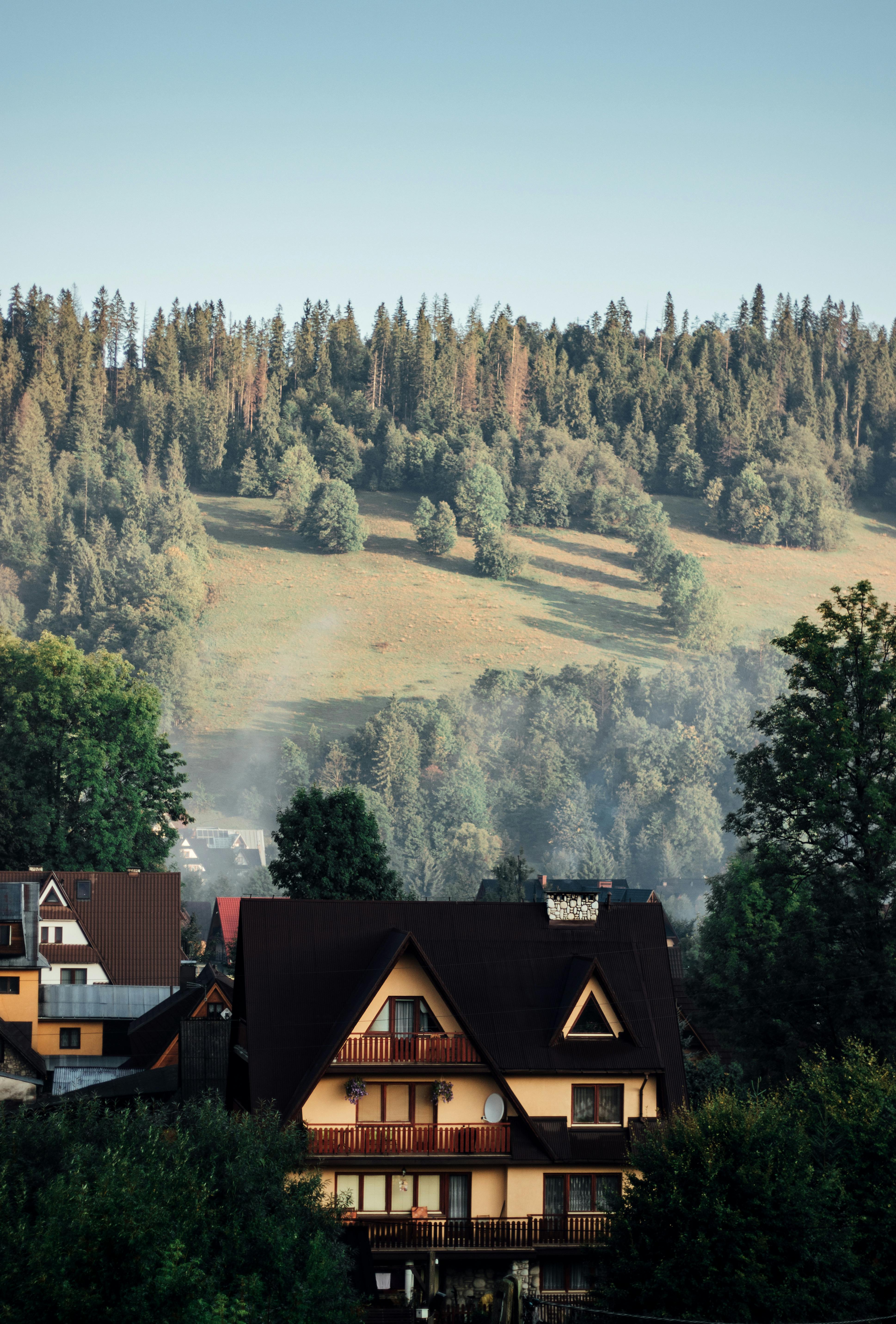 Highlander Style Photos, Download The BEST Free Highlander Style Stock ...