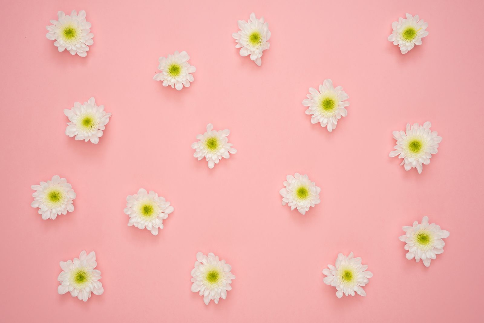 Flower Background Photos, Download The BEST Free Flower Background ...