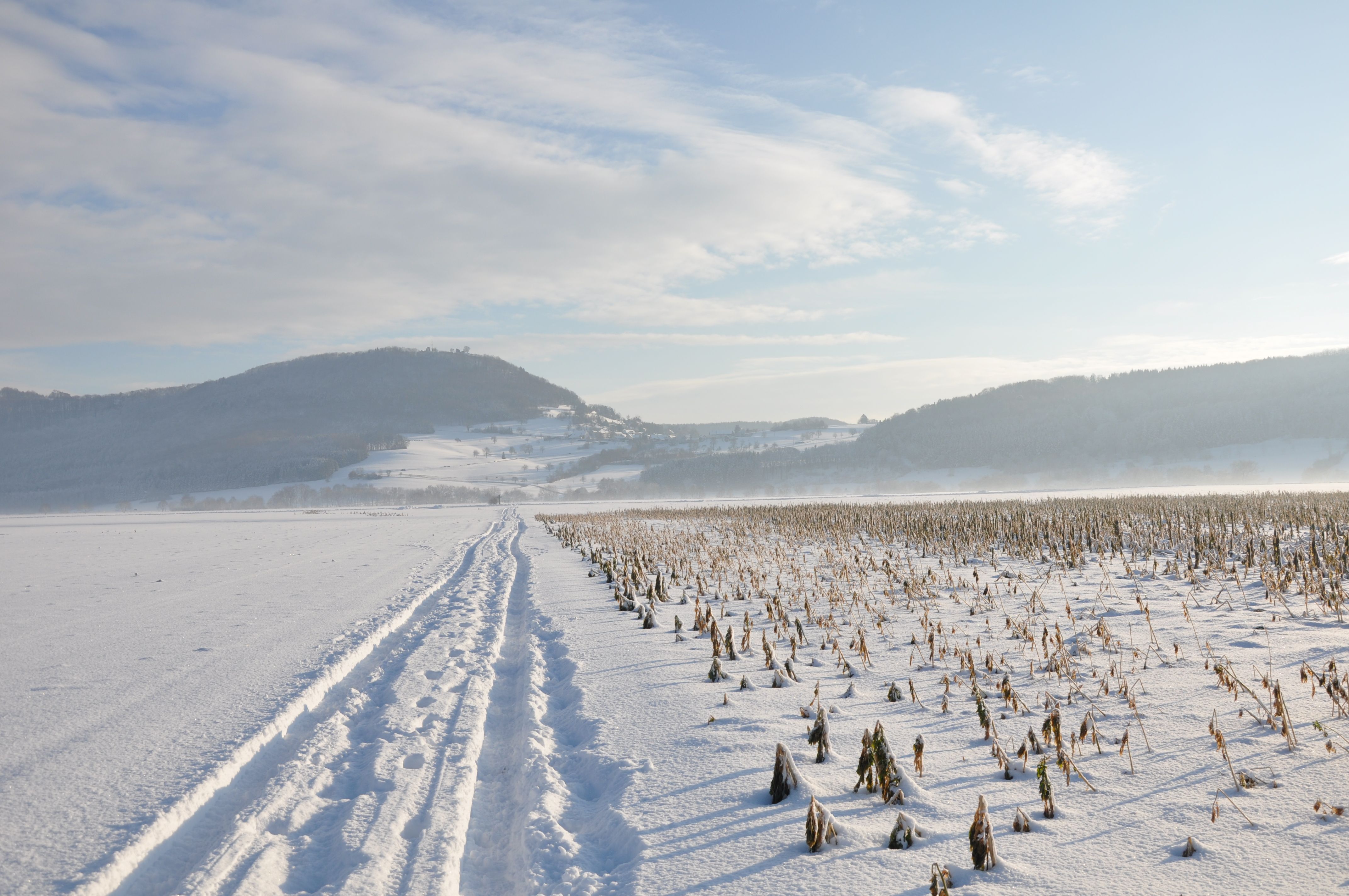 View of a Field in Winter · Free Stock Photo