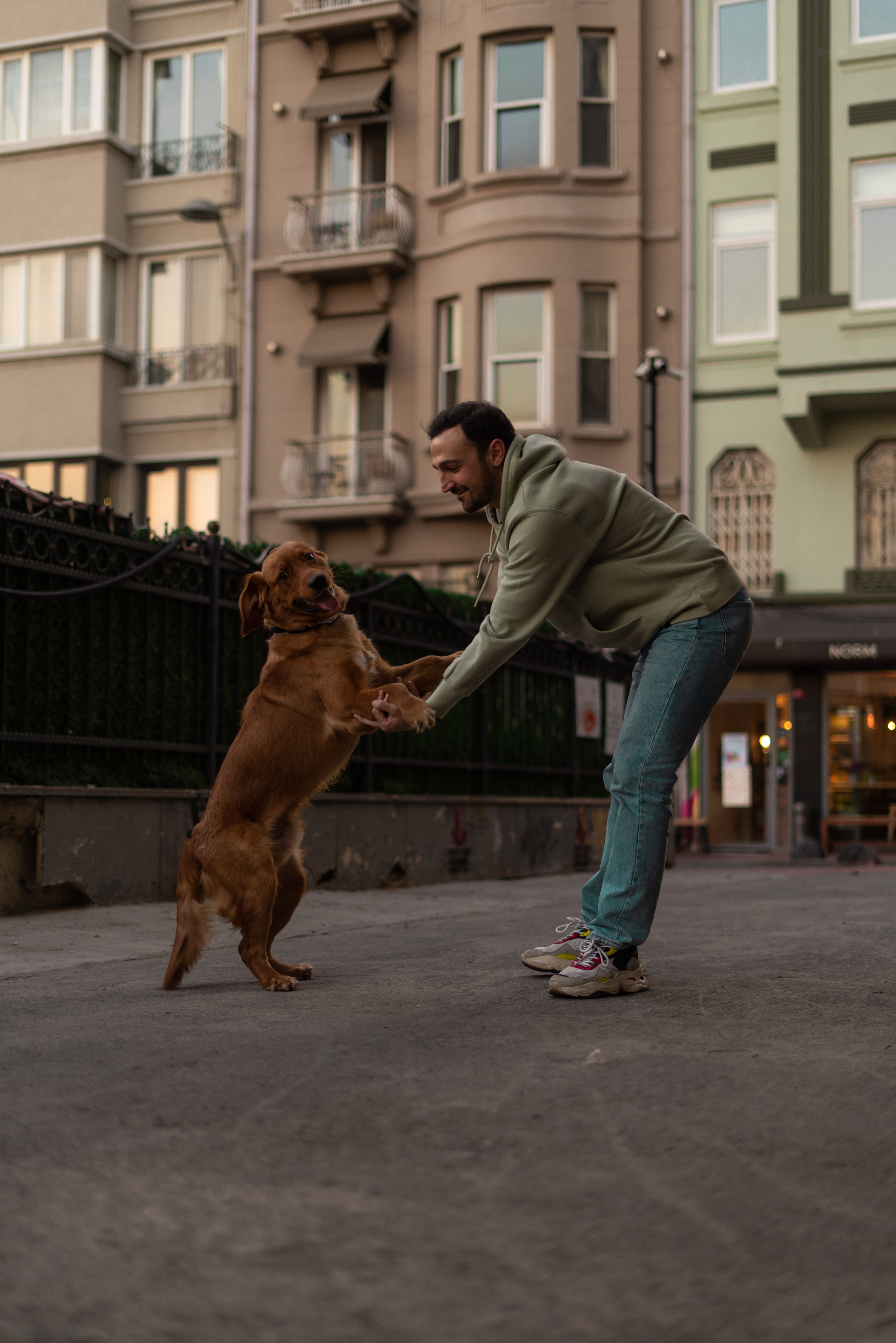 Man Playing with a Dog · Free Stock Photo