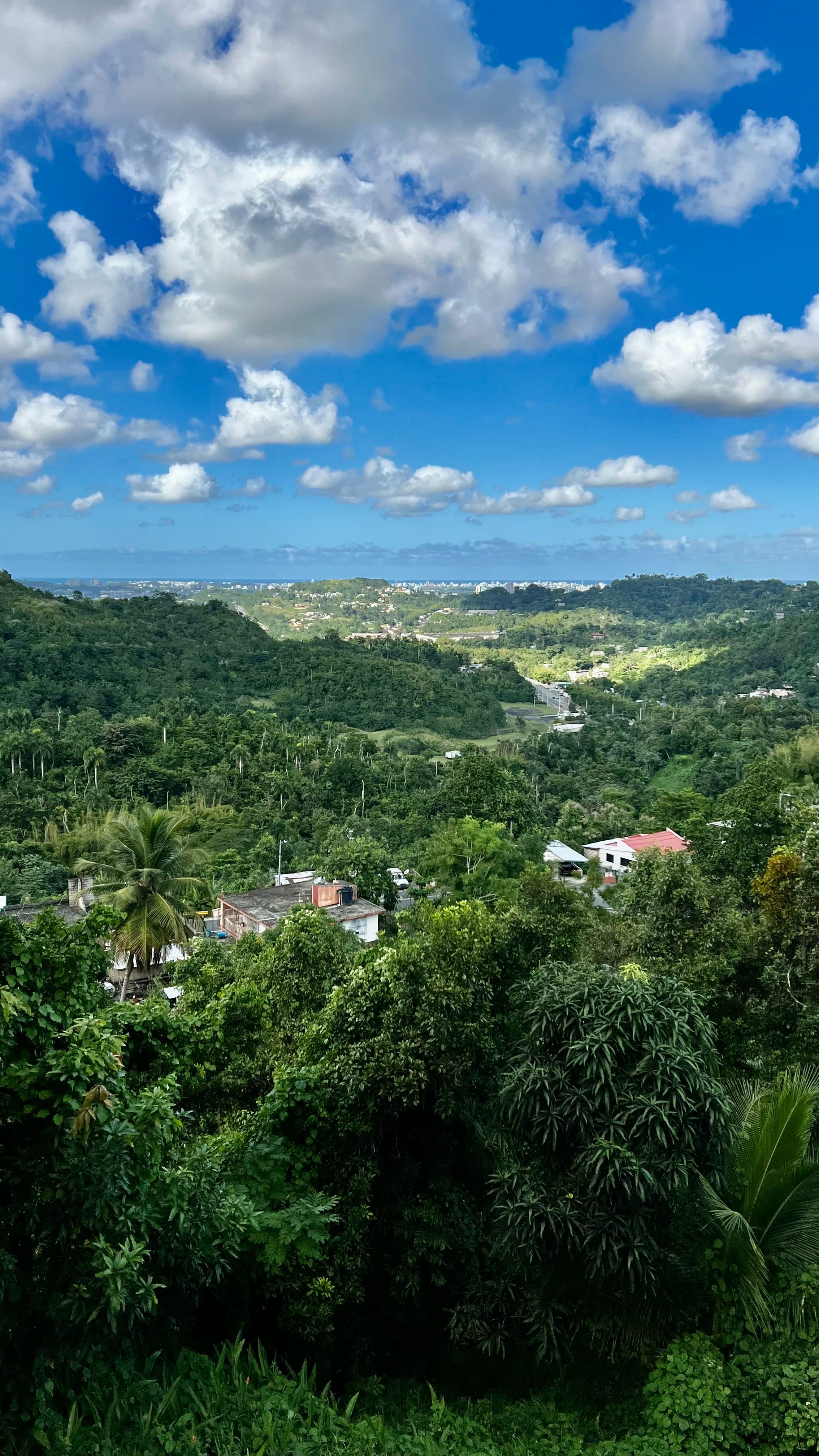 Scenic Views of Rural Area · Free Stock Photo