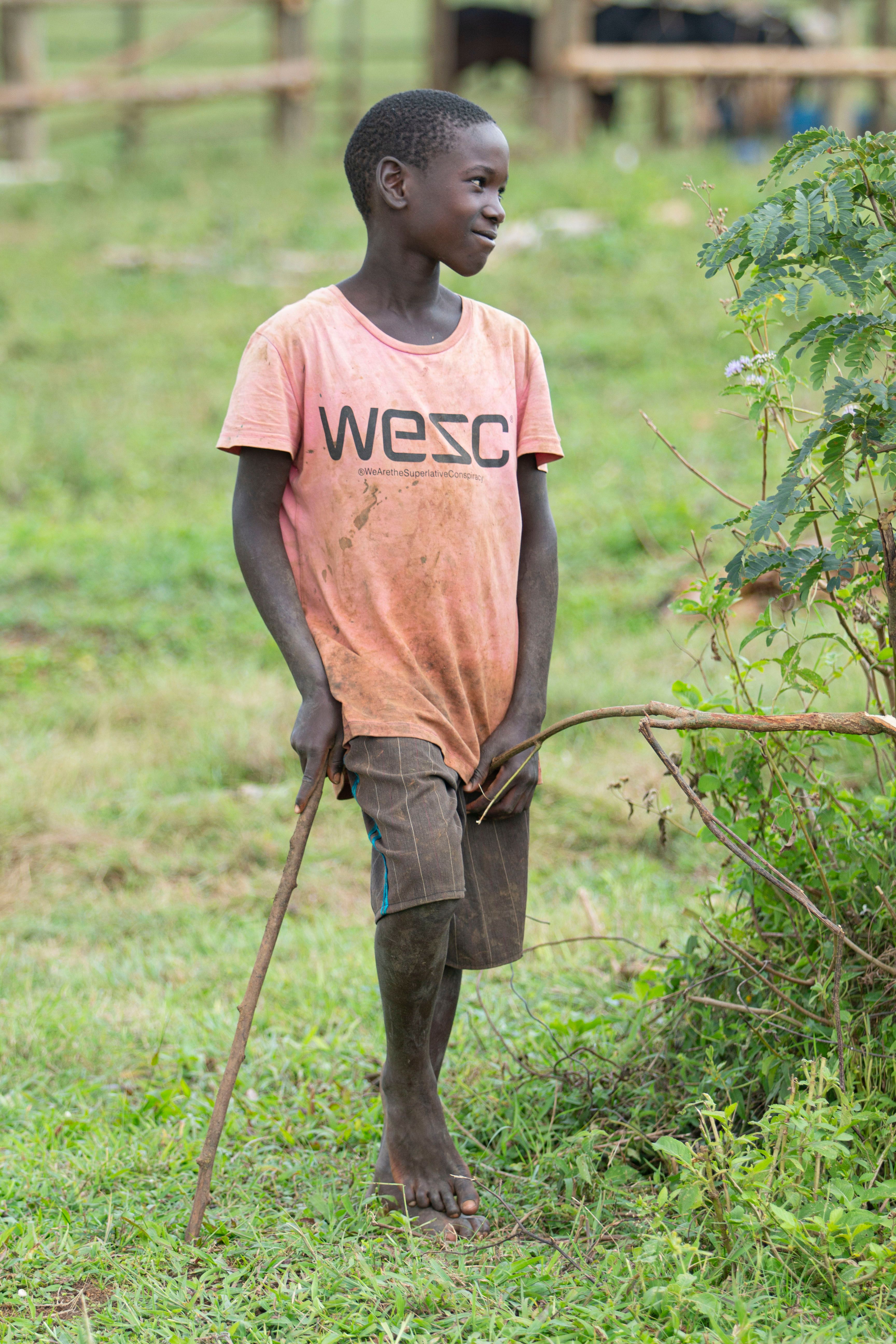 A Boy Holding a Stick · Free Stock Photo