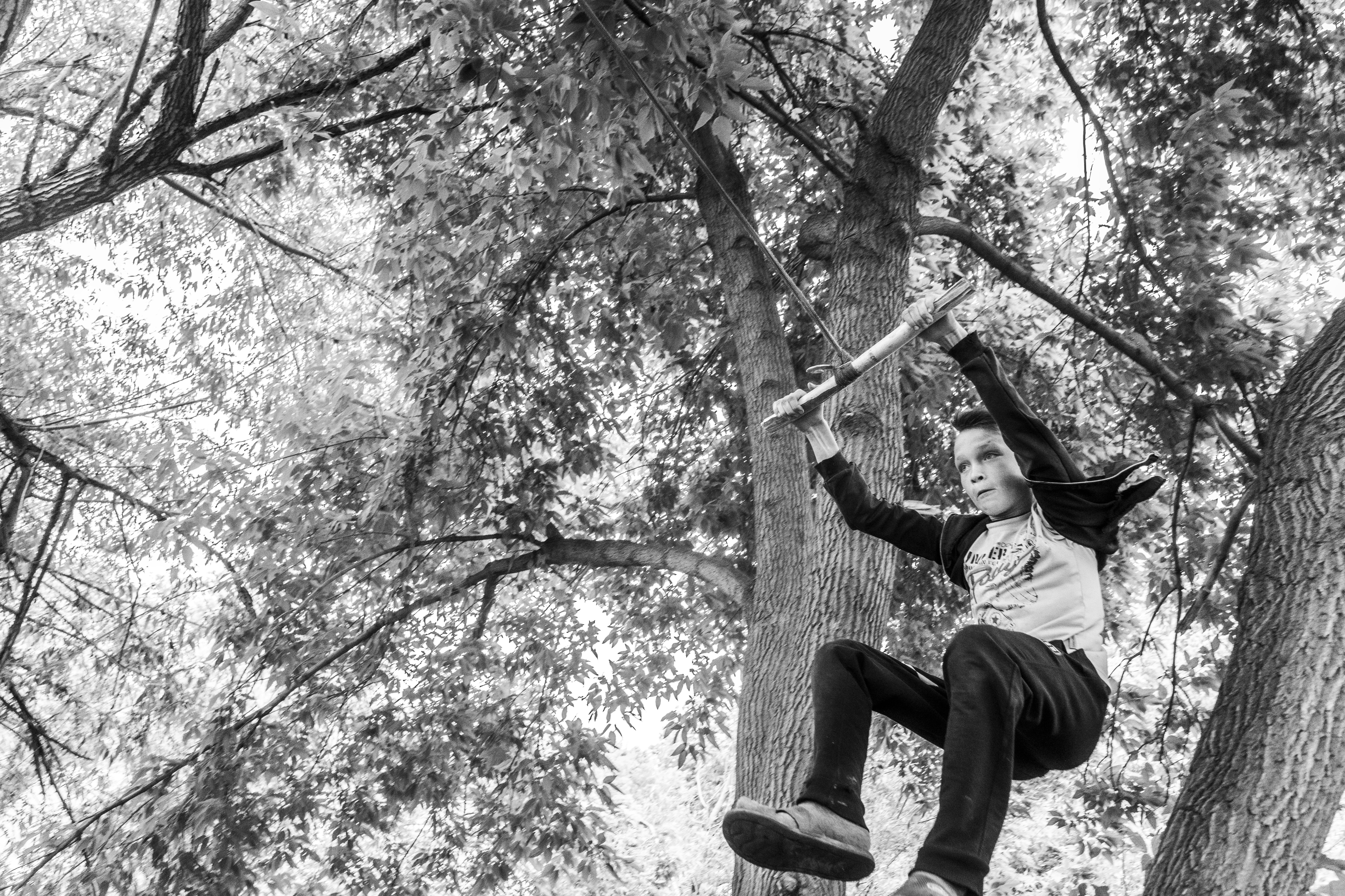 Boy Swinging from a Trapeze Bar Hanging from a Tree · Free Stock Photo