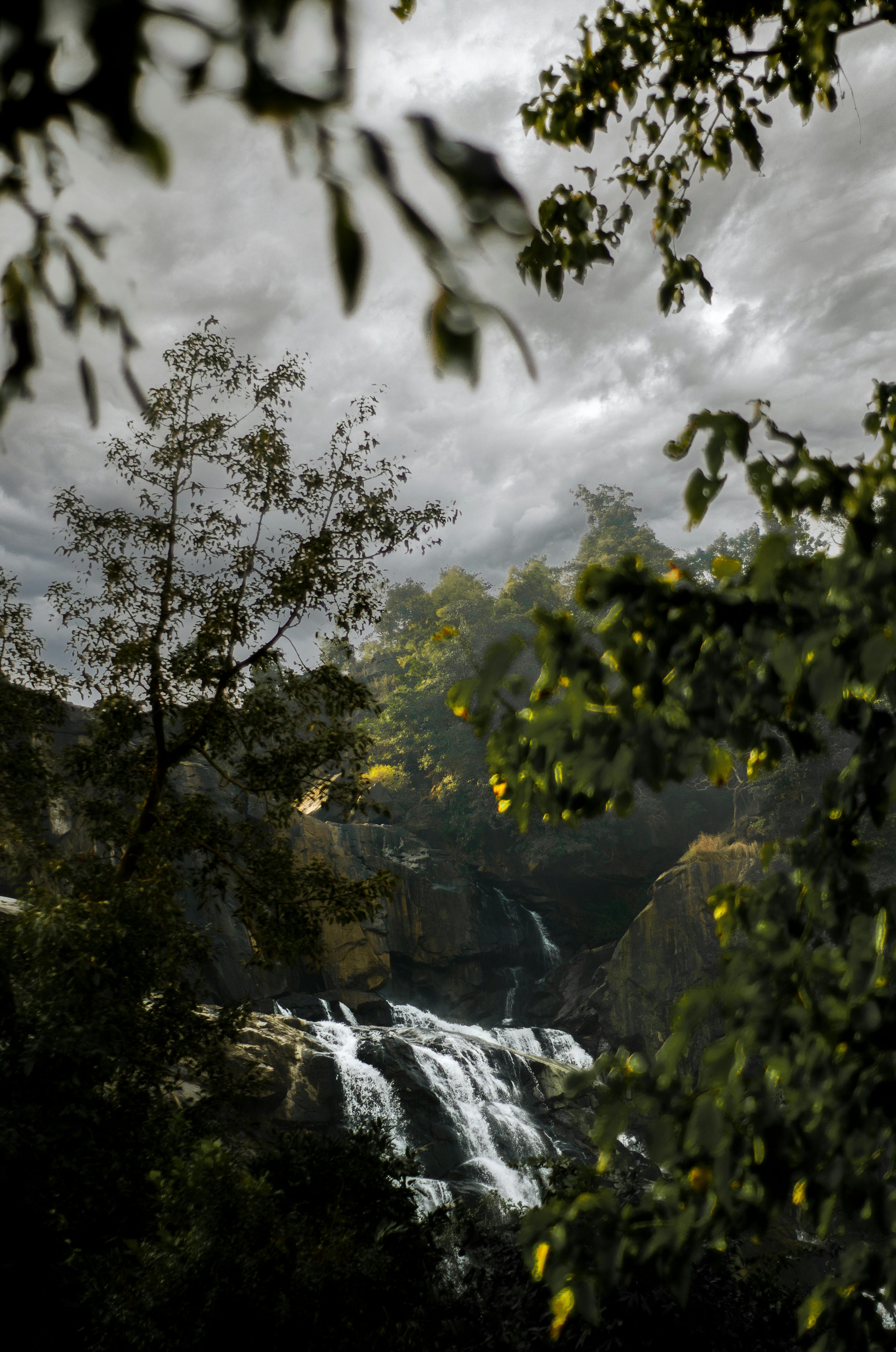 70,000+ Best Forest River Photos · 100% Free Download · Pexels Stock Photos