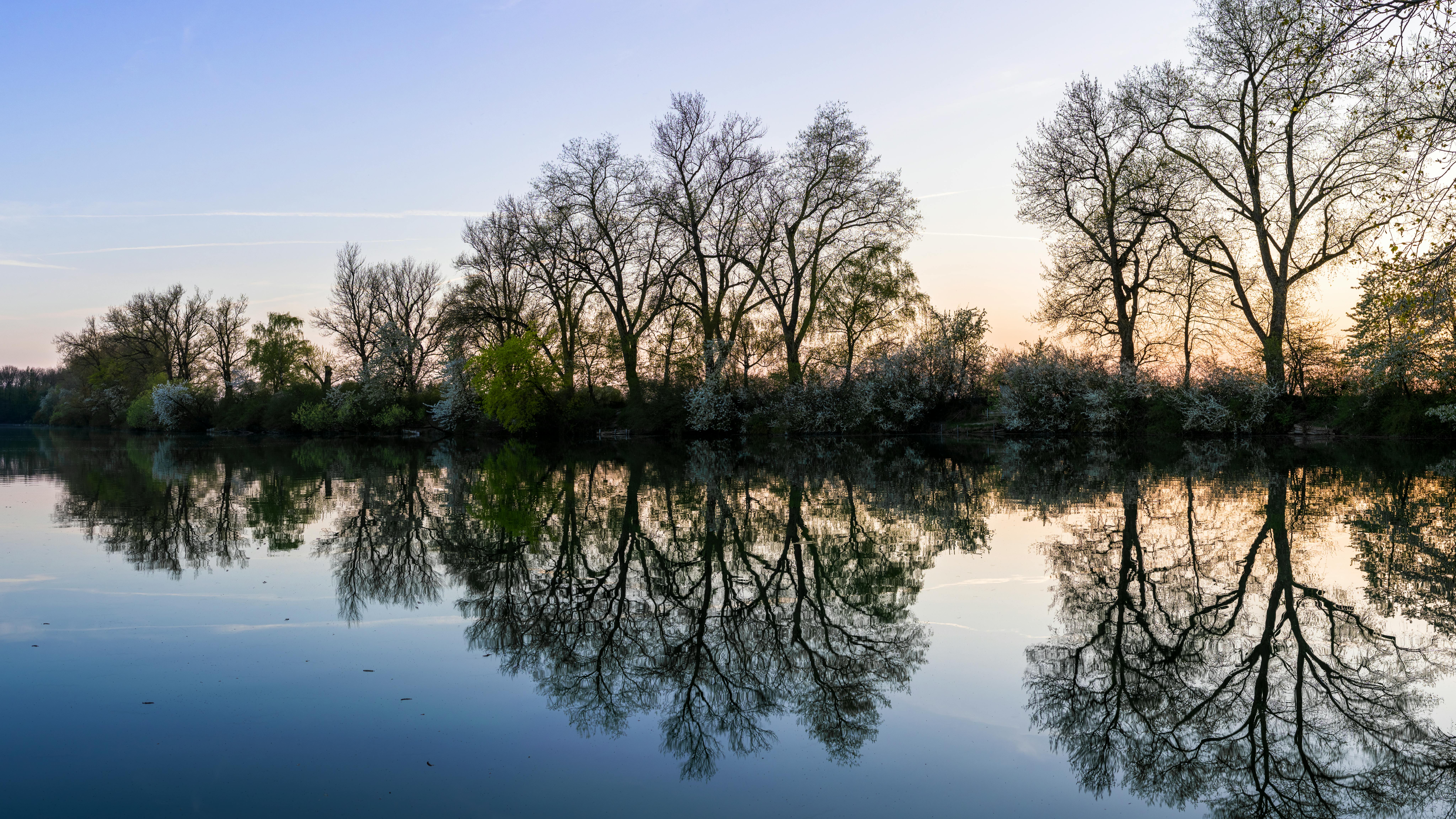Panoramic Photo of Green Trees Near River at Noontime · Free Stock Photo