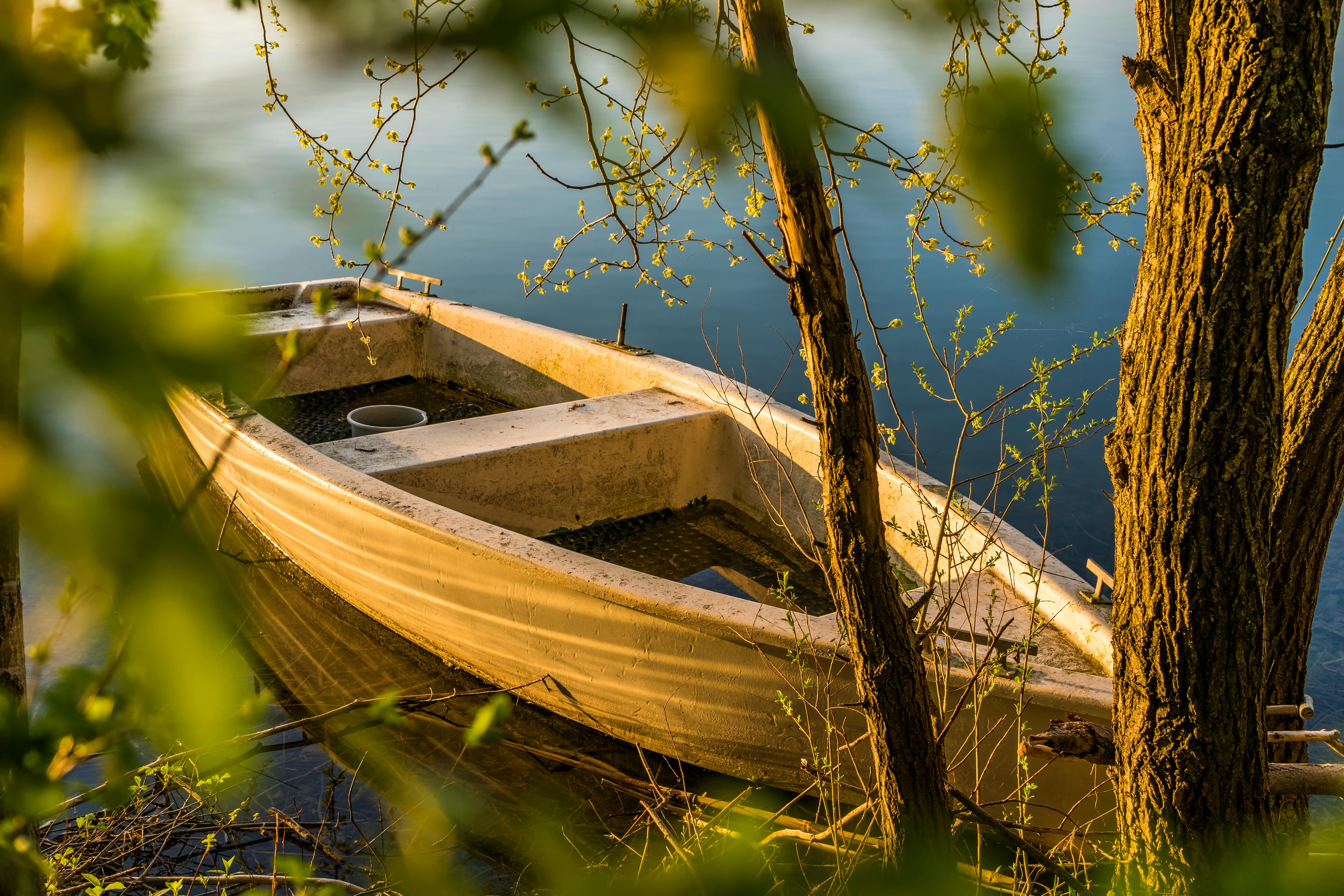 Brown Wooden Boat Near Tree · Free Stock Photo