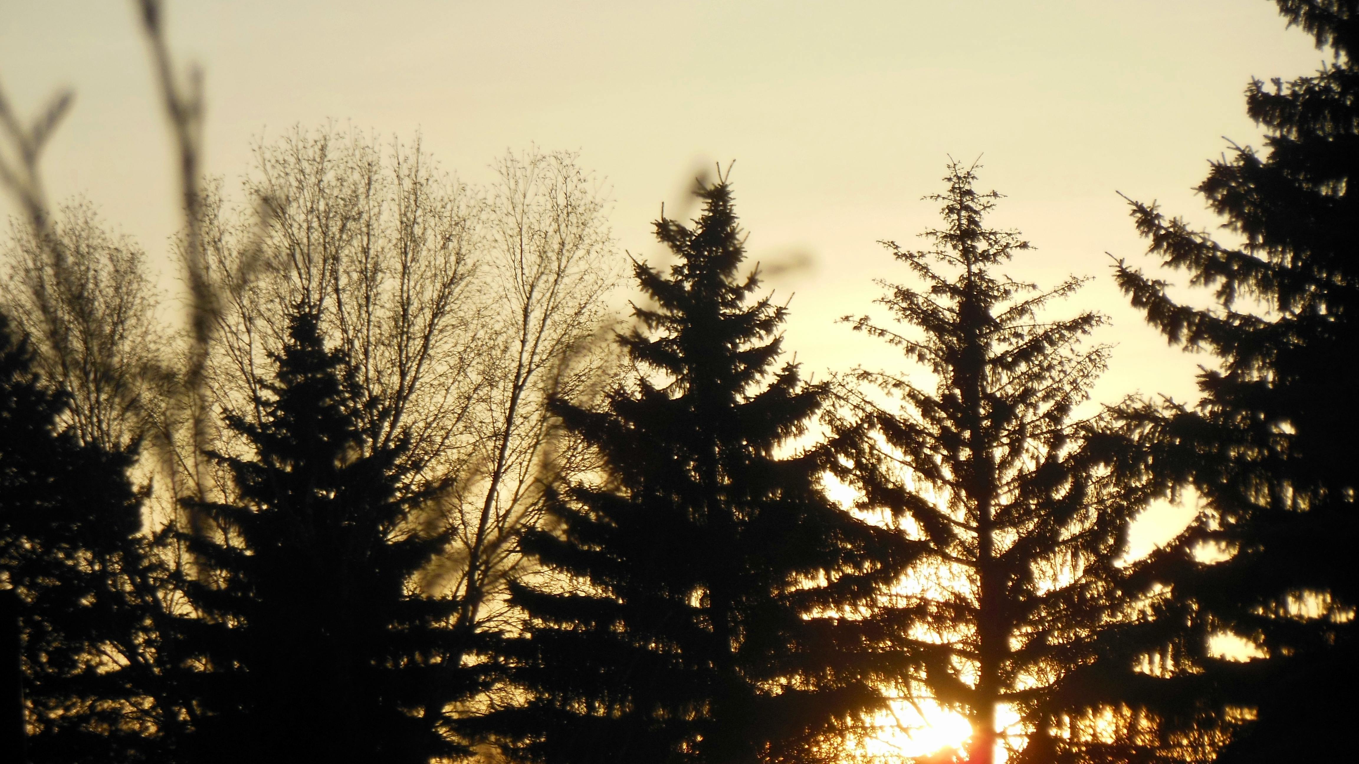 Free stock photo of 6AM sunrise, colors of the sky