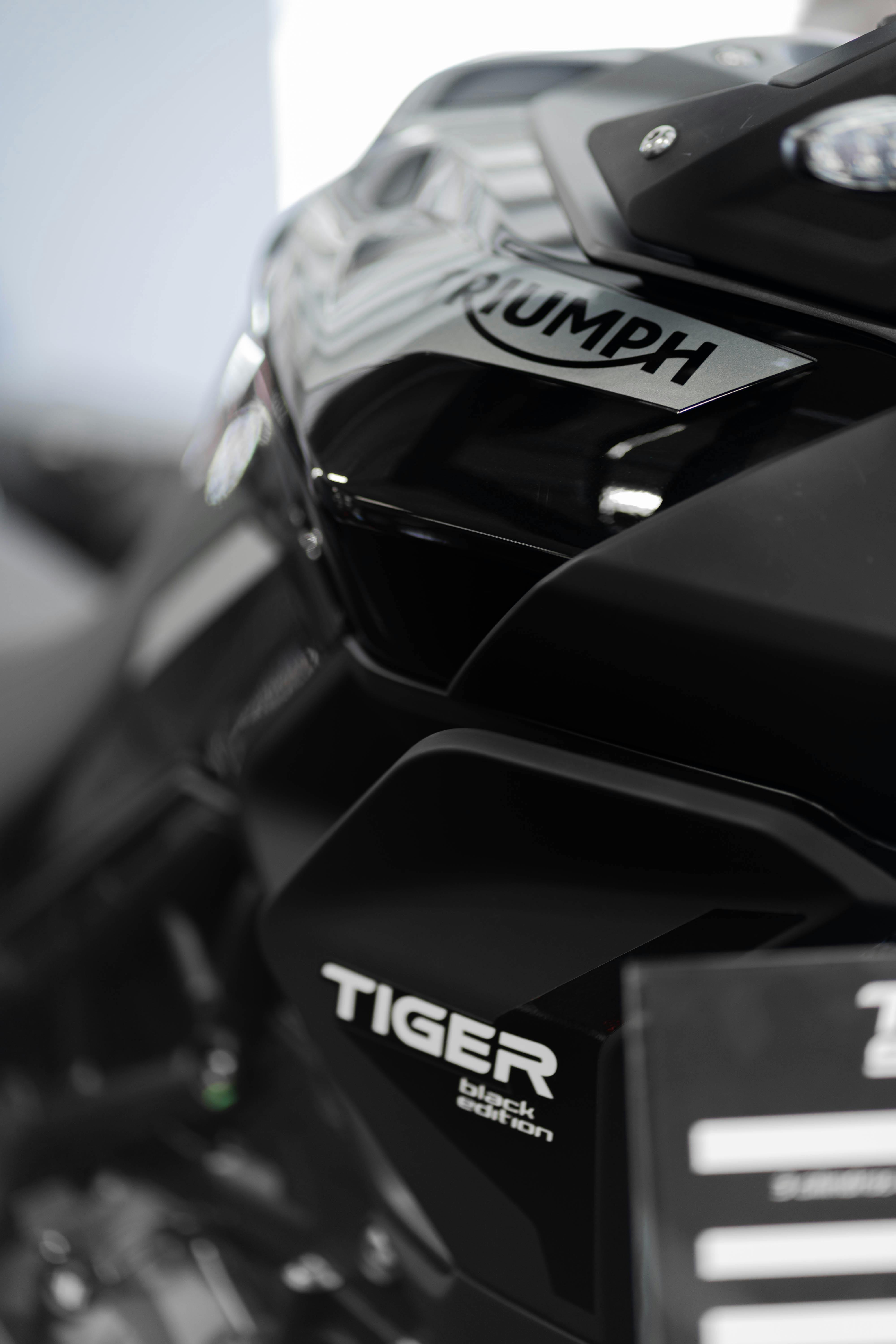 200+ Best Triumph Photos · 100% Free Download · Pexels Stock Photos